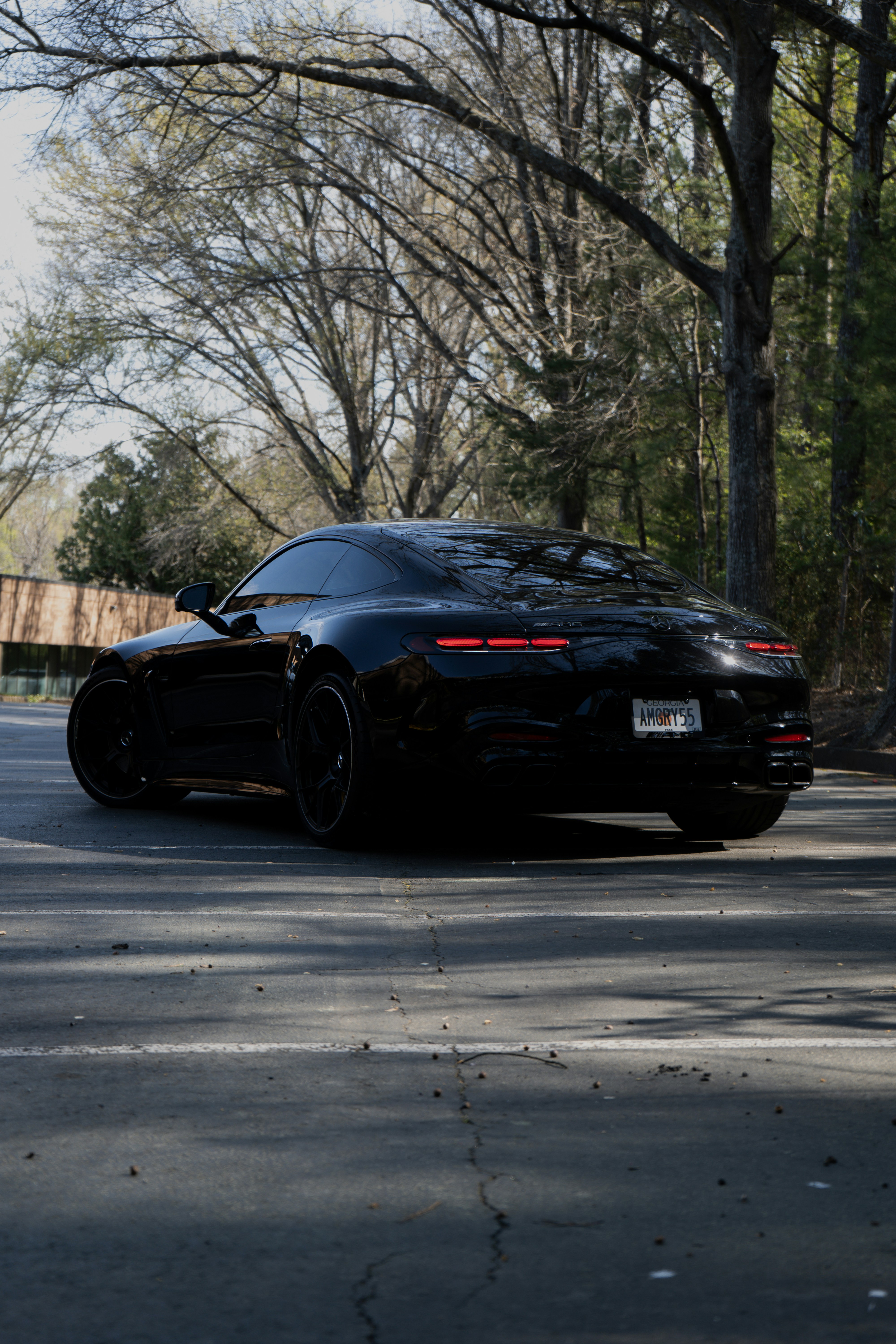 Midnight silhouette: A sleek Porsche resting under spring trees