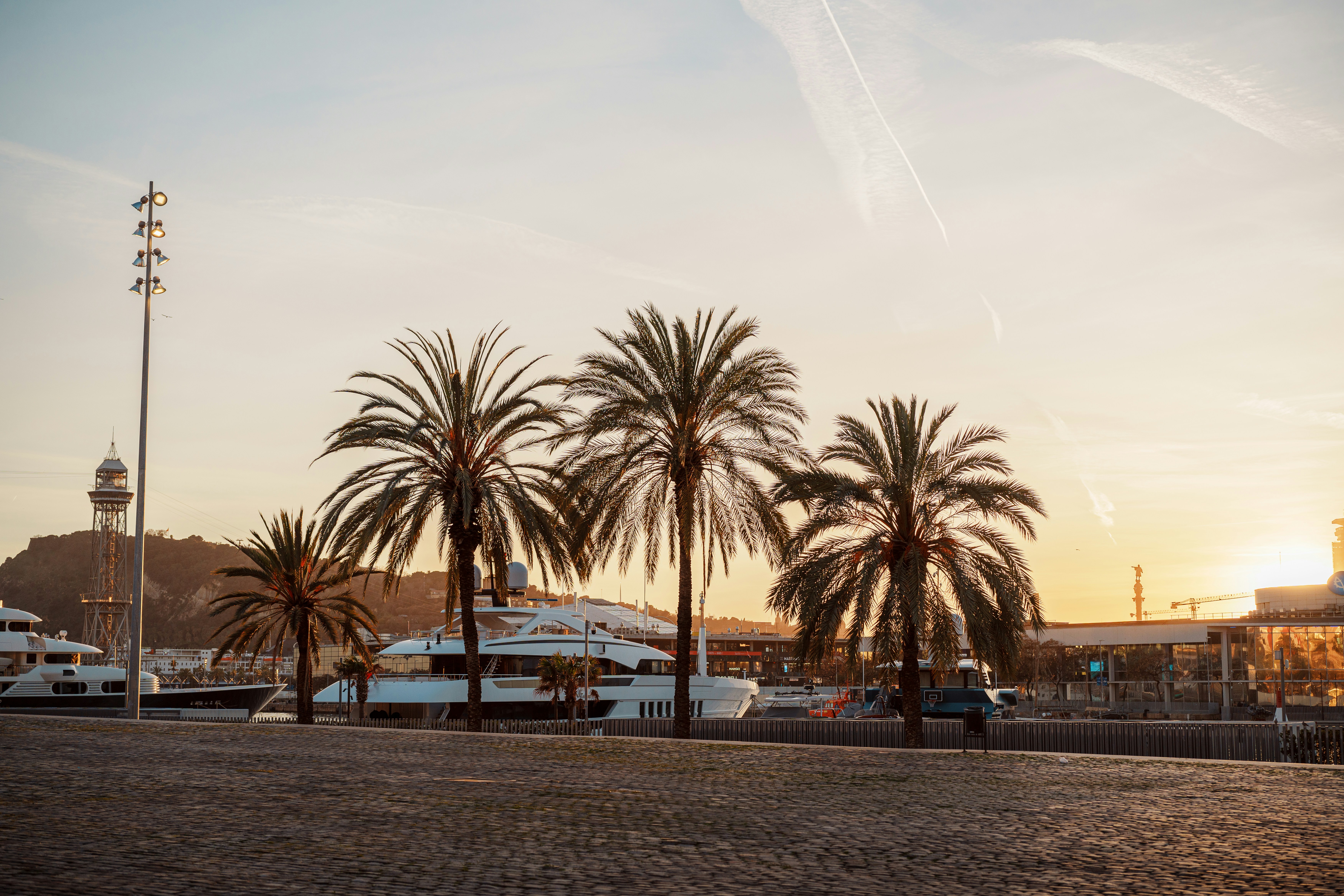 Palm-lined Marina at Golden Hour