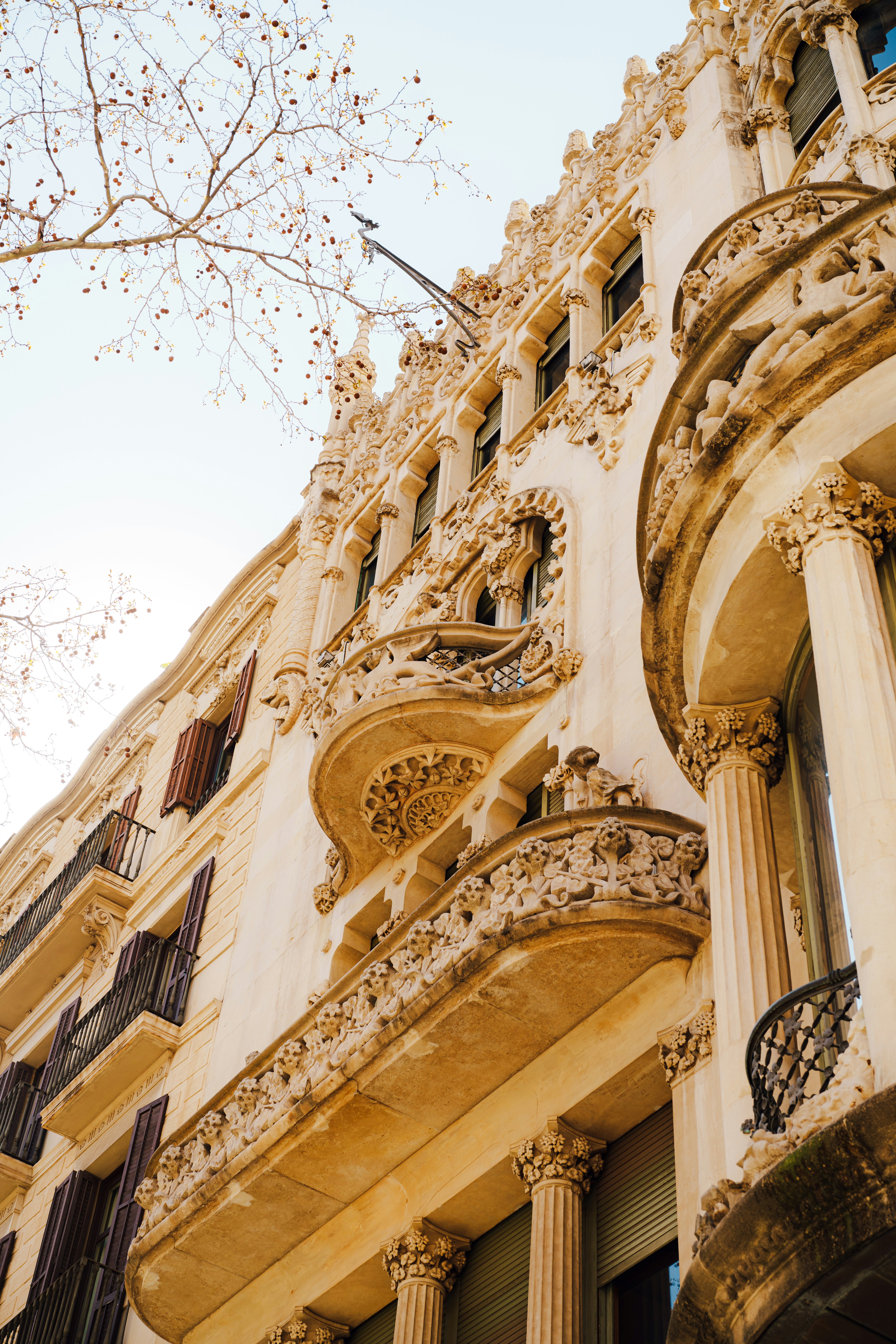 Ornate Cornerstone: Gothic-Organic Facade Reaching Toward the Sky