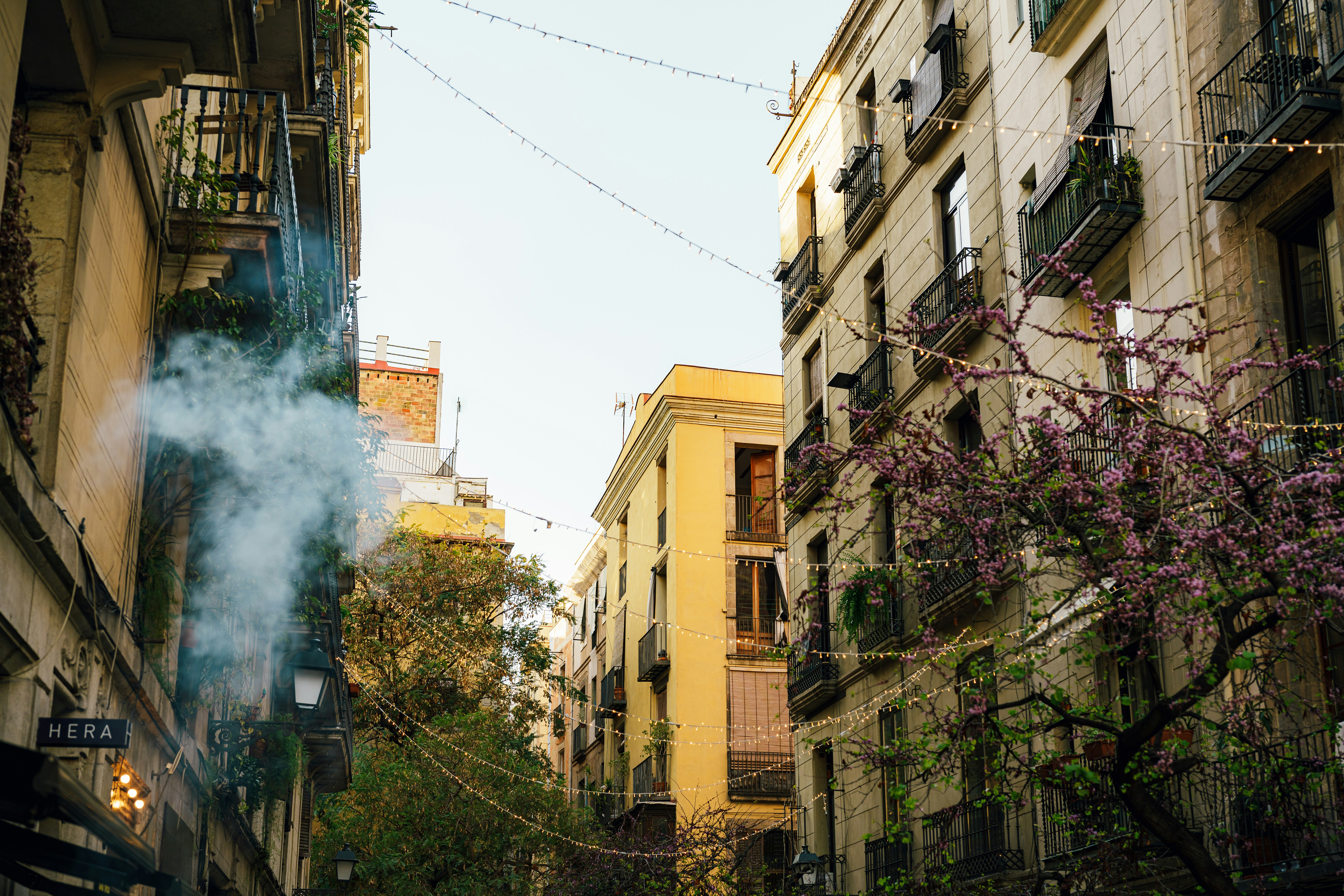 Sunlit Street Vista with Hanging Lights and Blossoming Trees