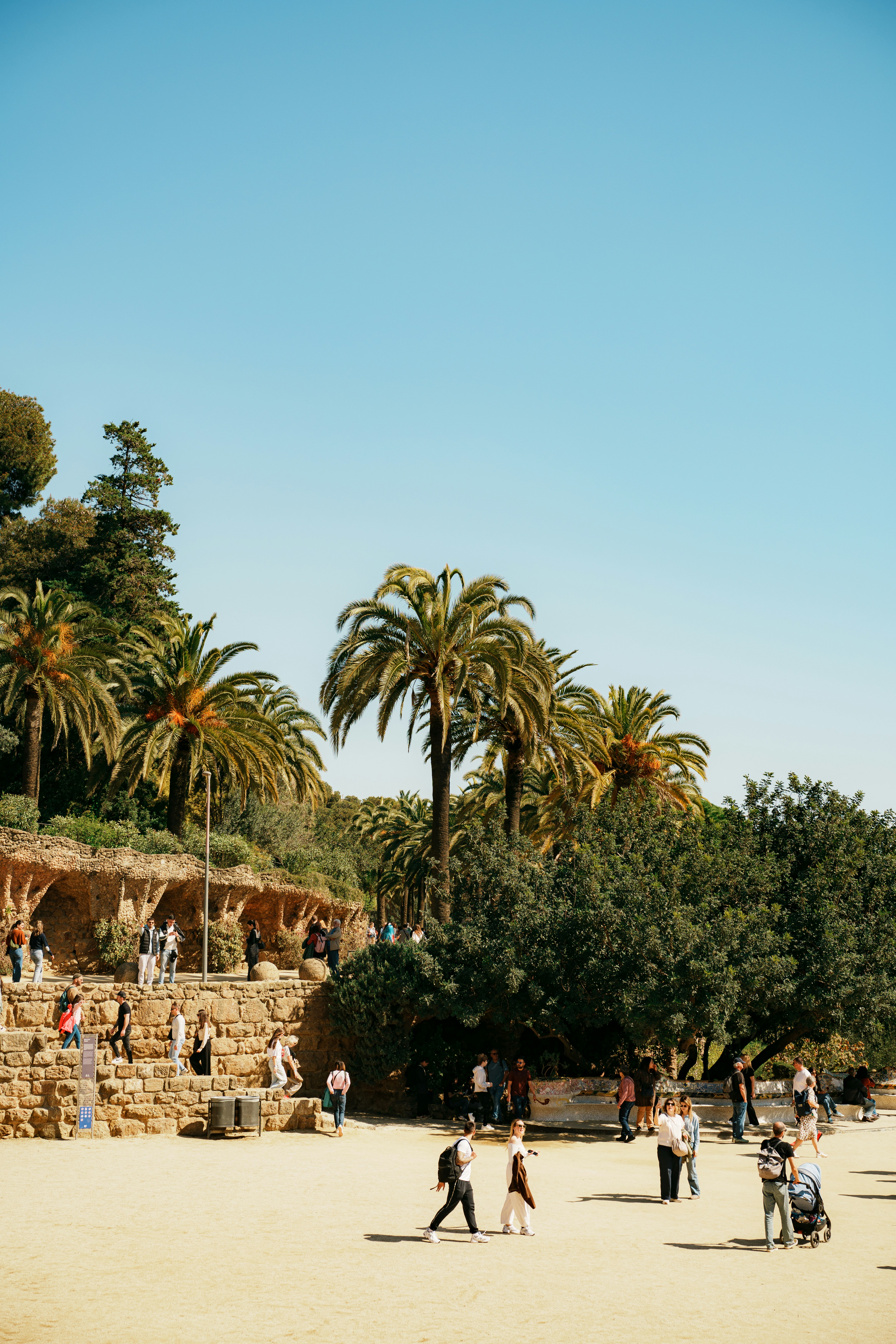 Palm Parquet by the Sea: Sunlit Terrace and Palm Shade