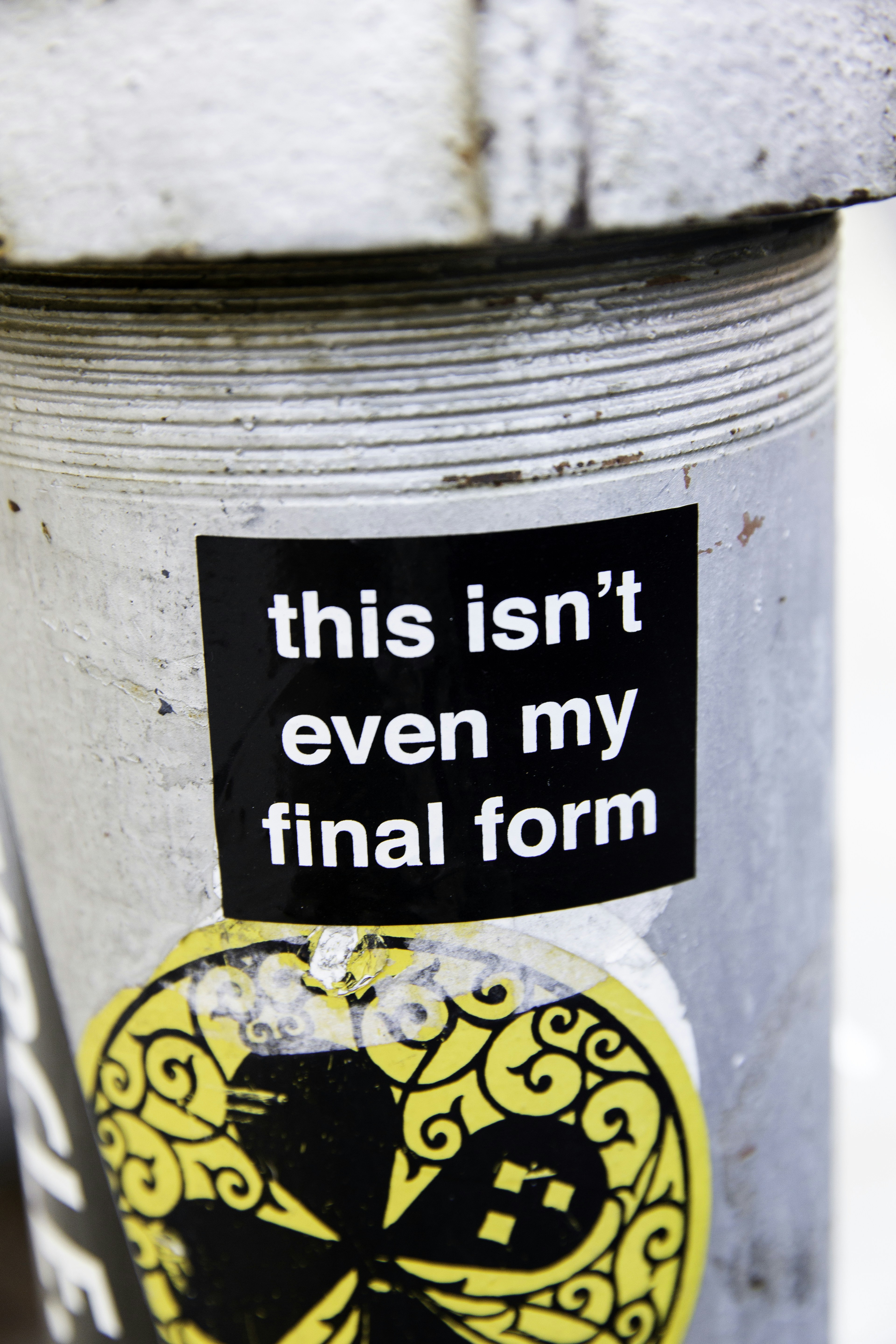 Stickered Utility Pipe with Message: 'this isn’t even my final form'