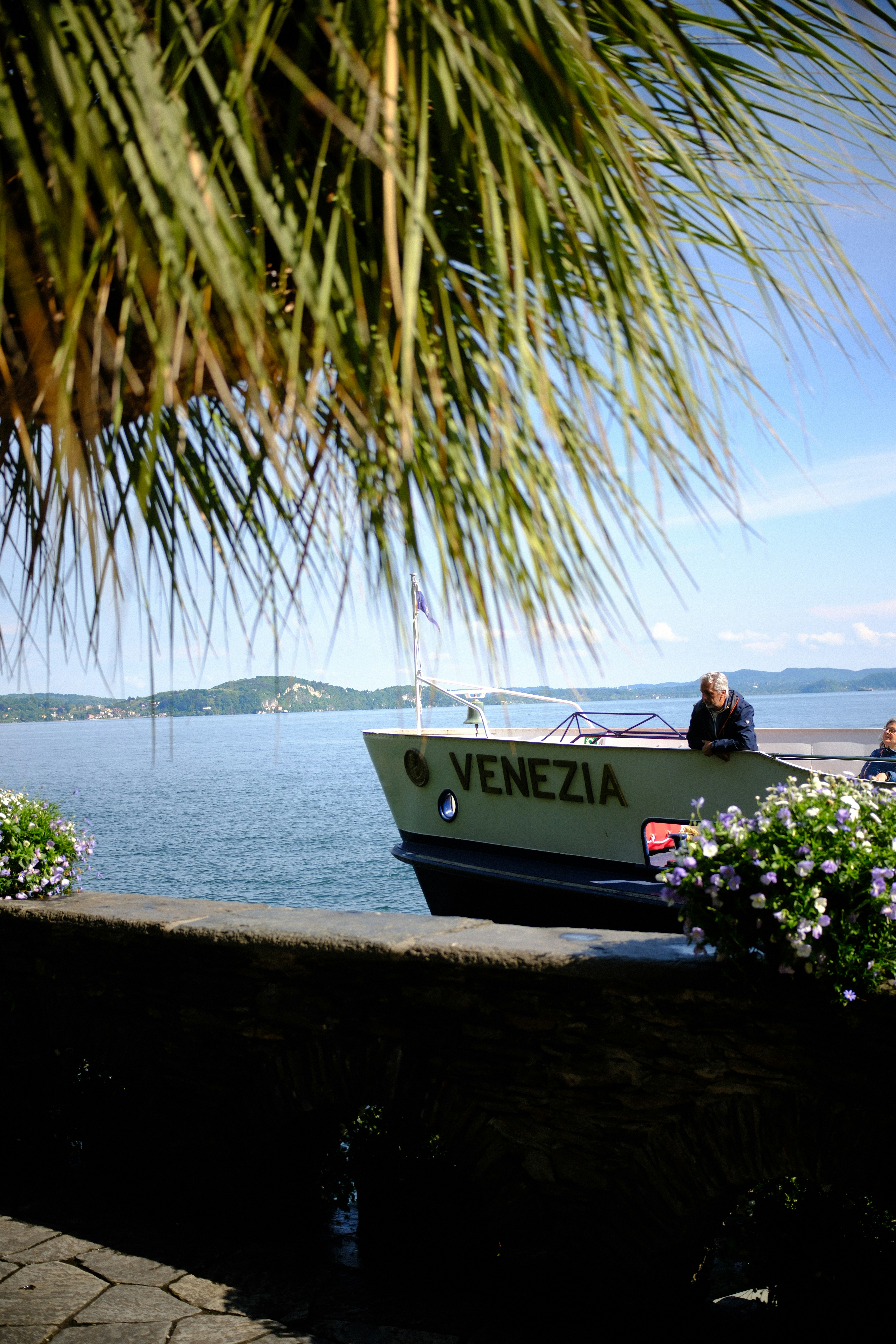 Venezia Vista: Boat at the Pier Framed by Palm Arches
