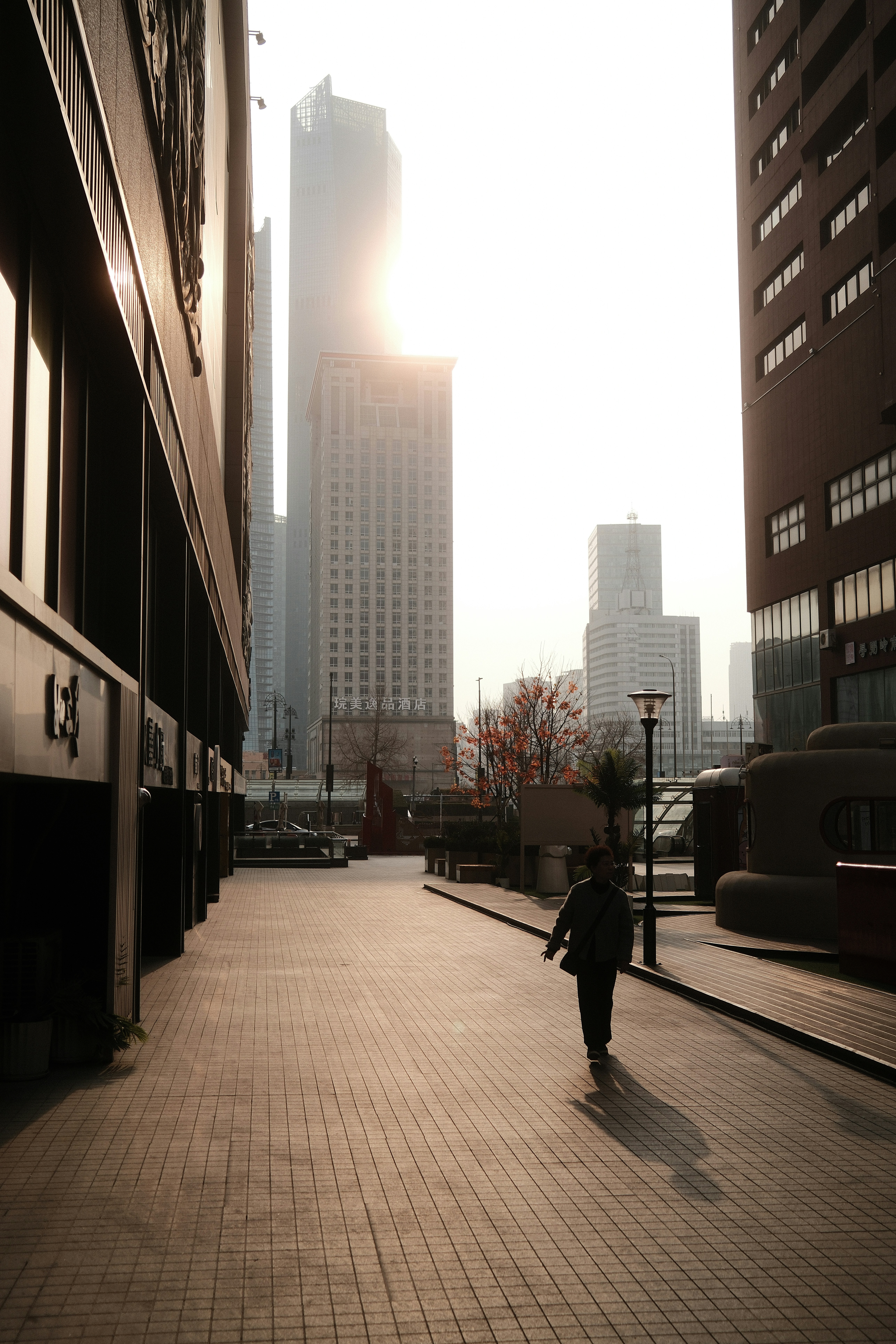 Urban Echoes: A lone pedestrian stride beneath towering silhouettes