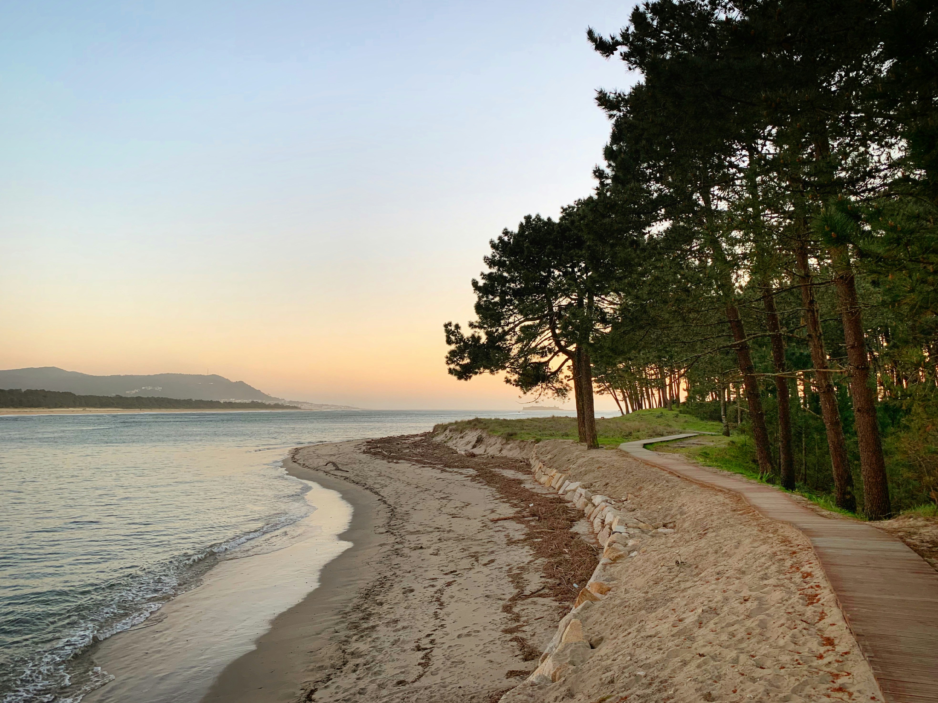 Serene shoreline path under a pine-lined horizon at dusk