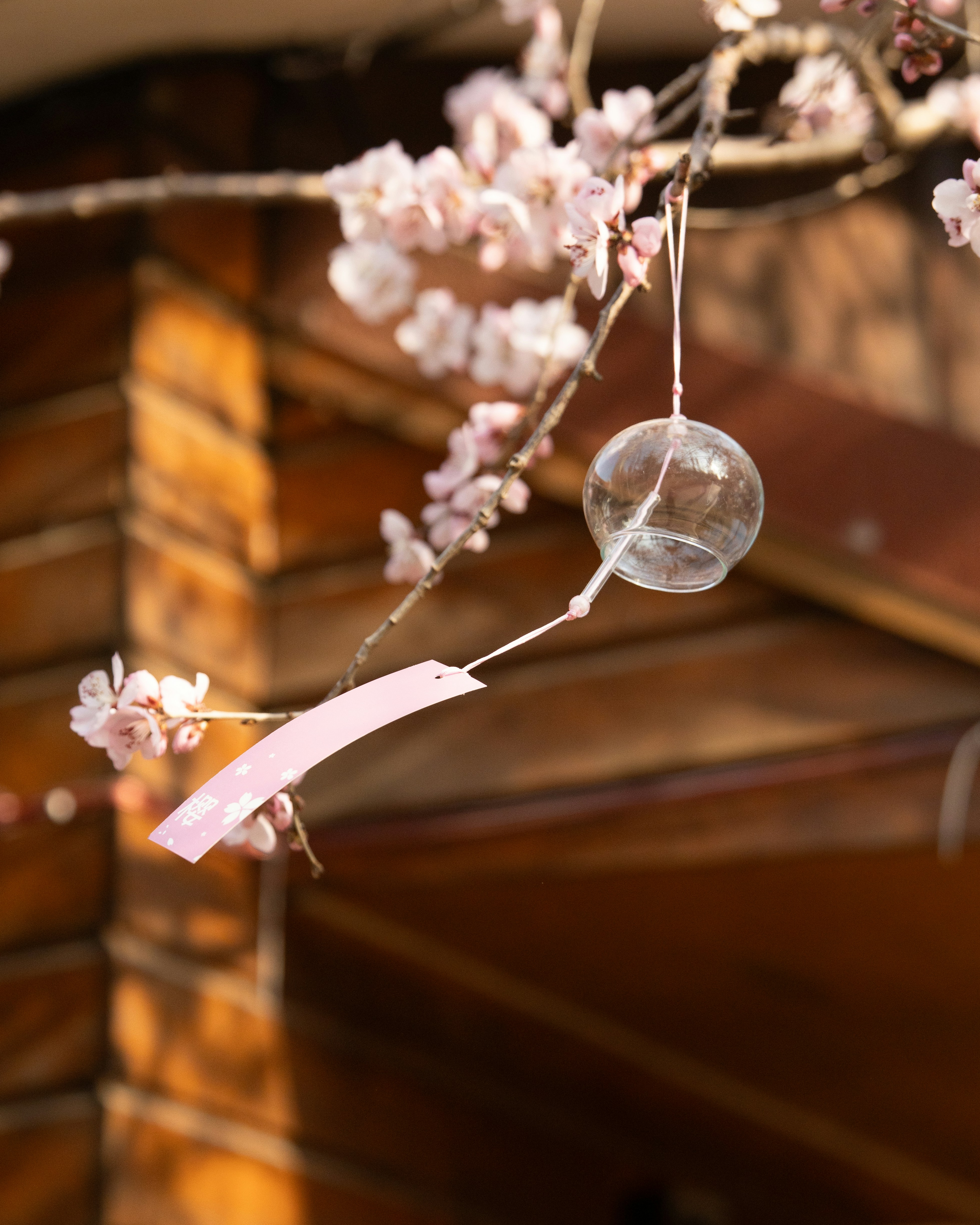 Floating ornament among pale blossoms on a sunlit porch