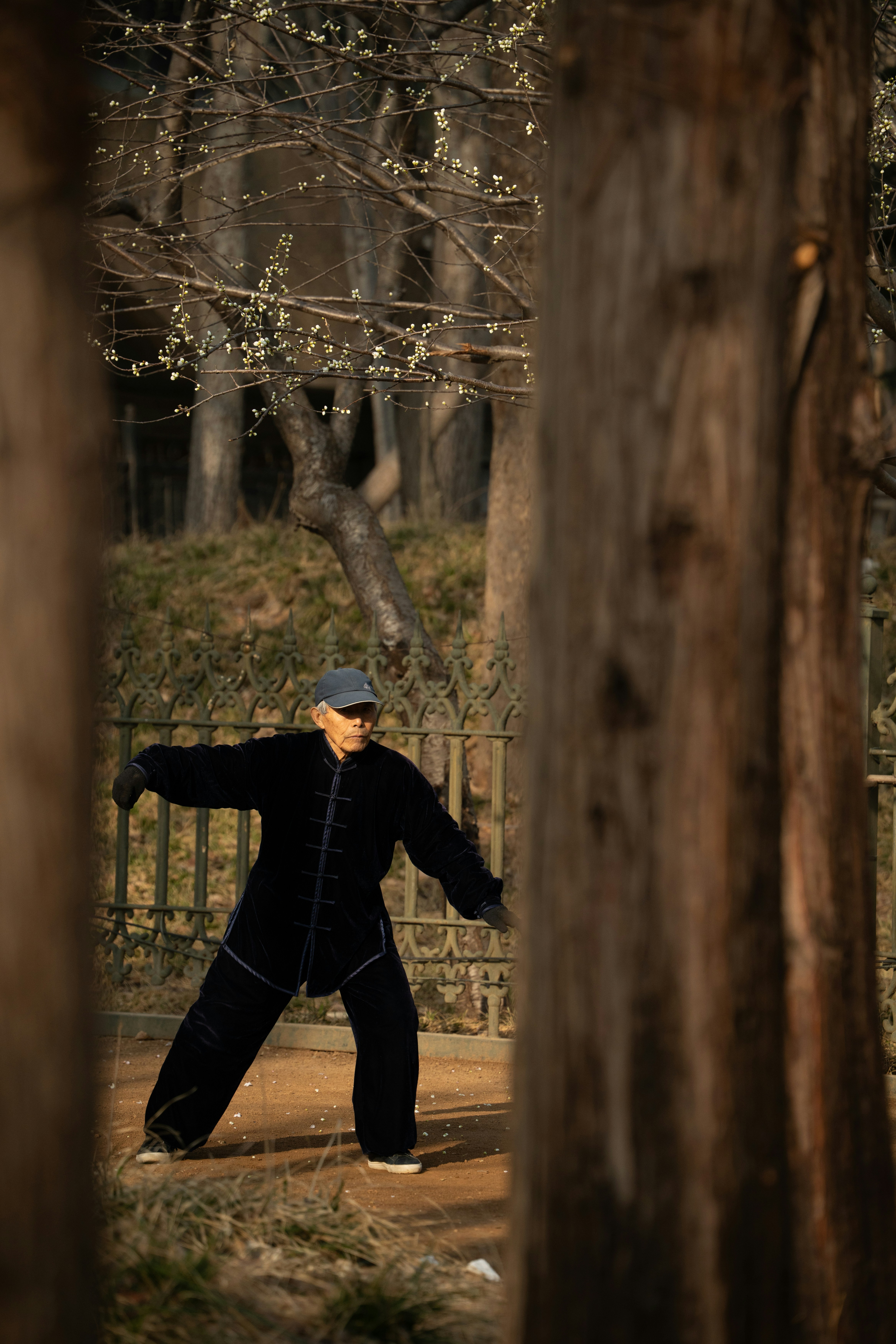Shadows and Grace in the Park: A Martial Pause