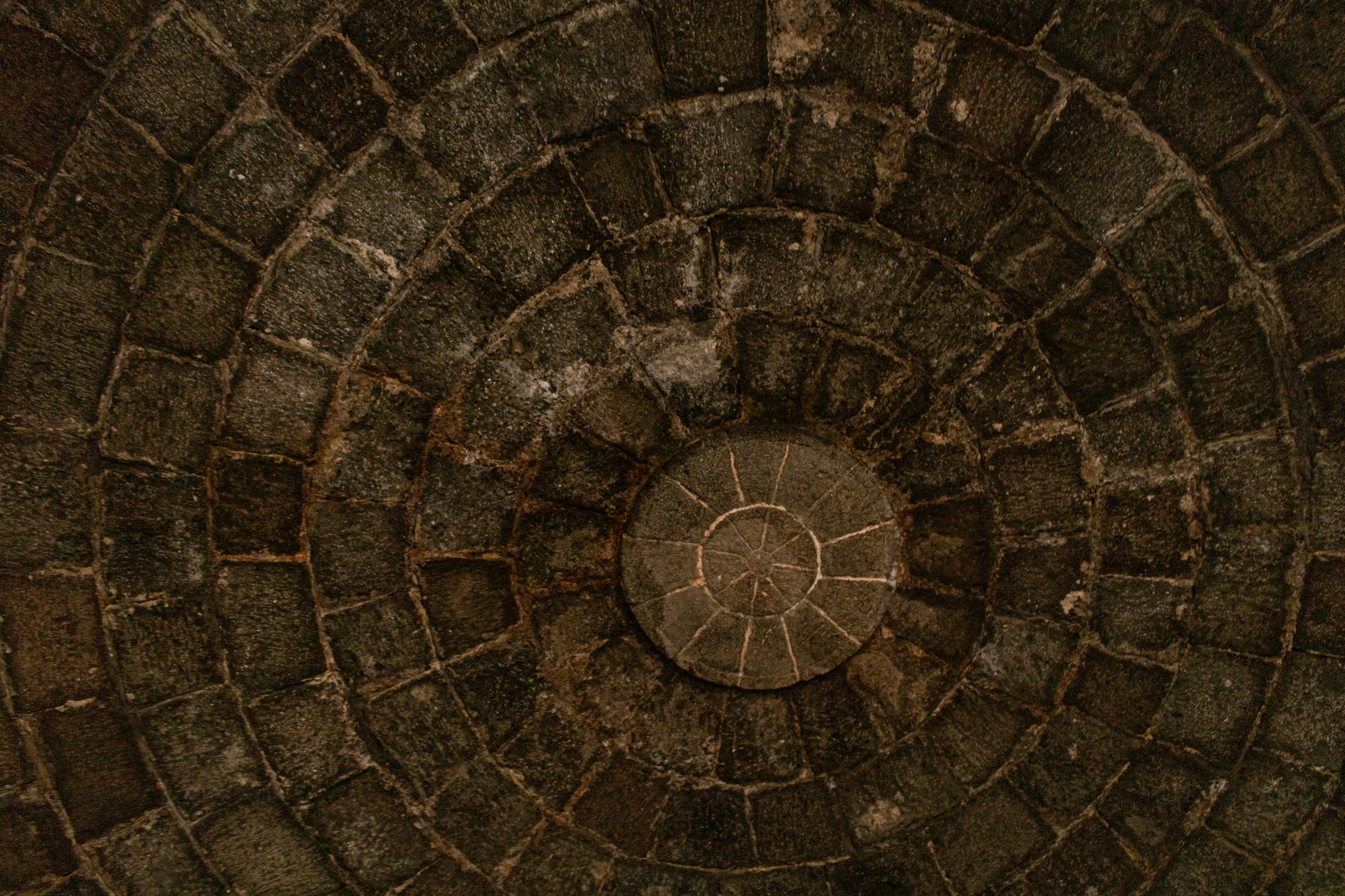 Concentric Stones: A Quiet Circular Echo