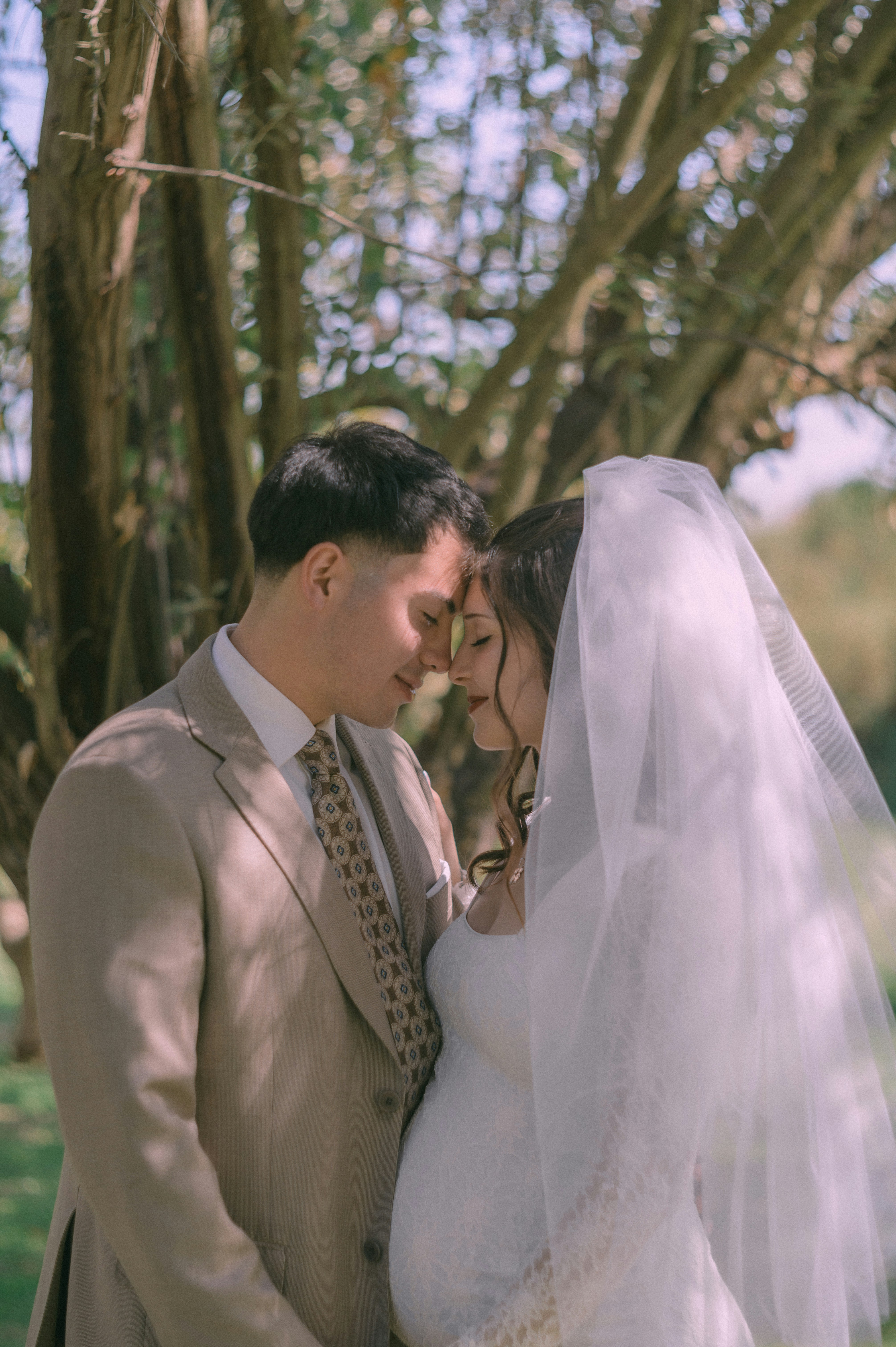 Close Veil, Close Hearts: A Quiet Moment Between Two in Groomed Light