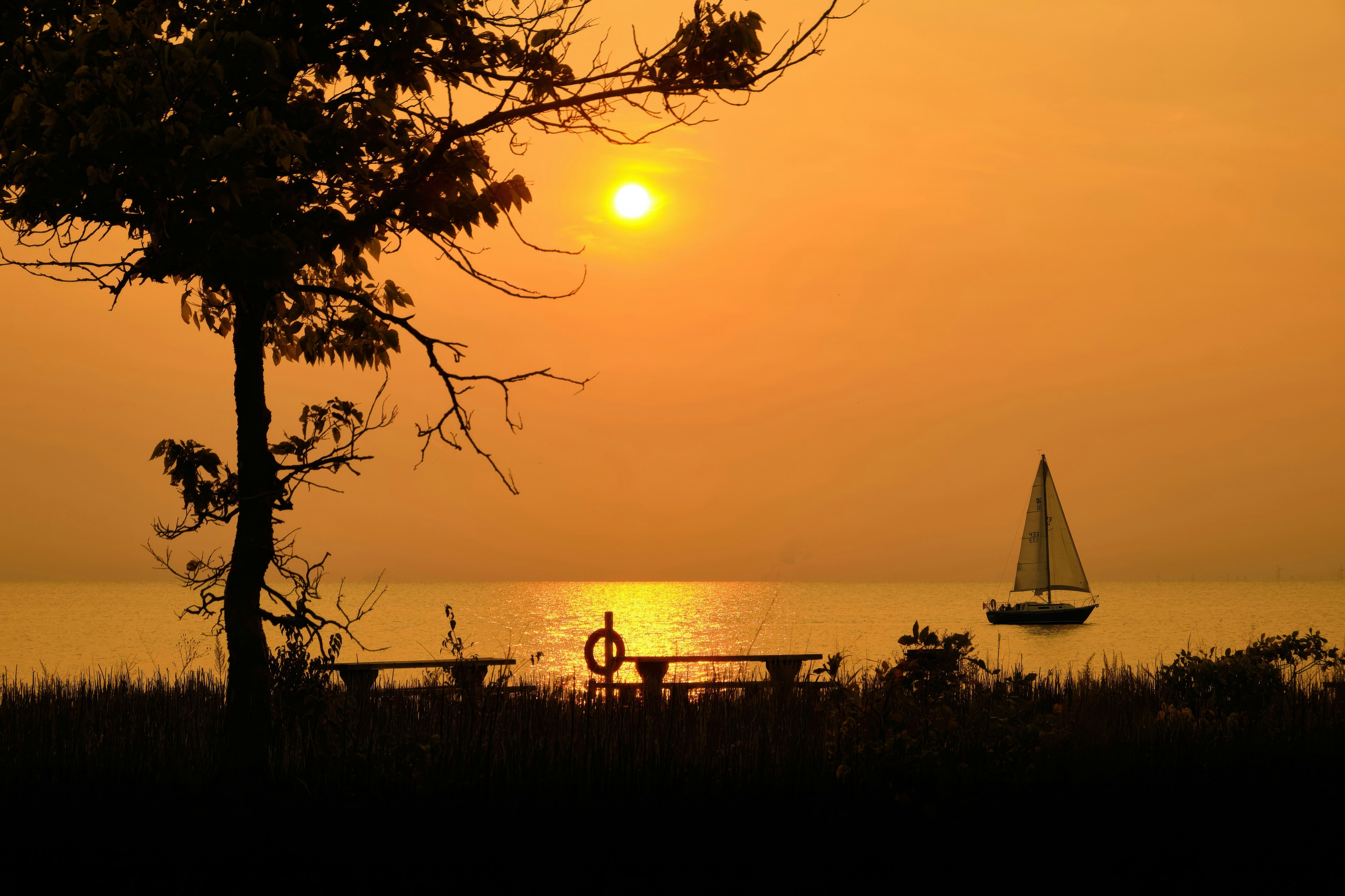 Sunset Serenade by the Shore