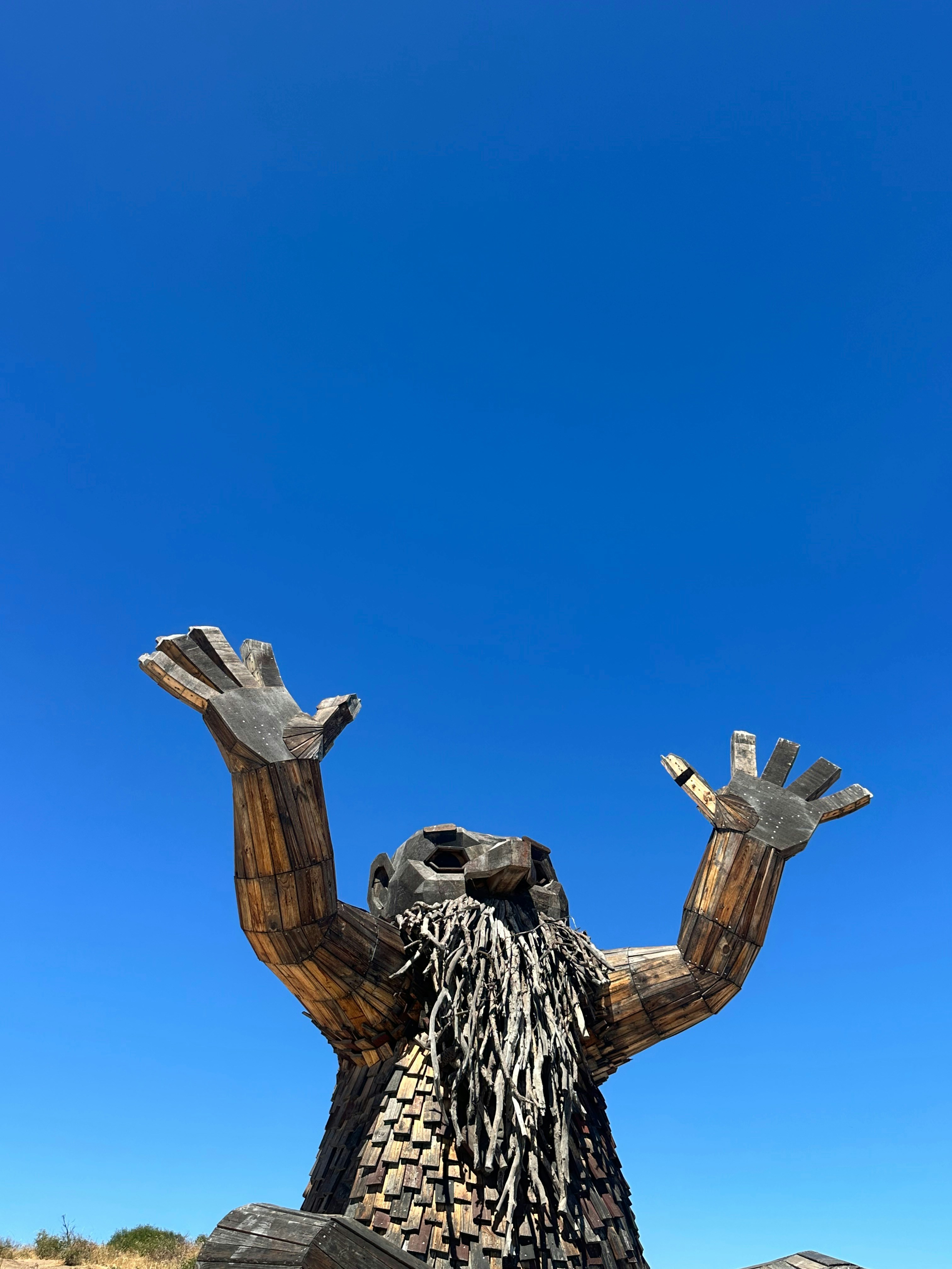 Skyward Goliath: Wooden Giant Reaches Toward a Clear Blue