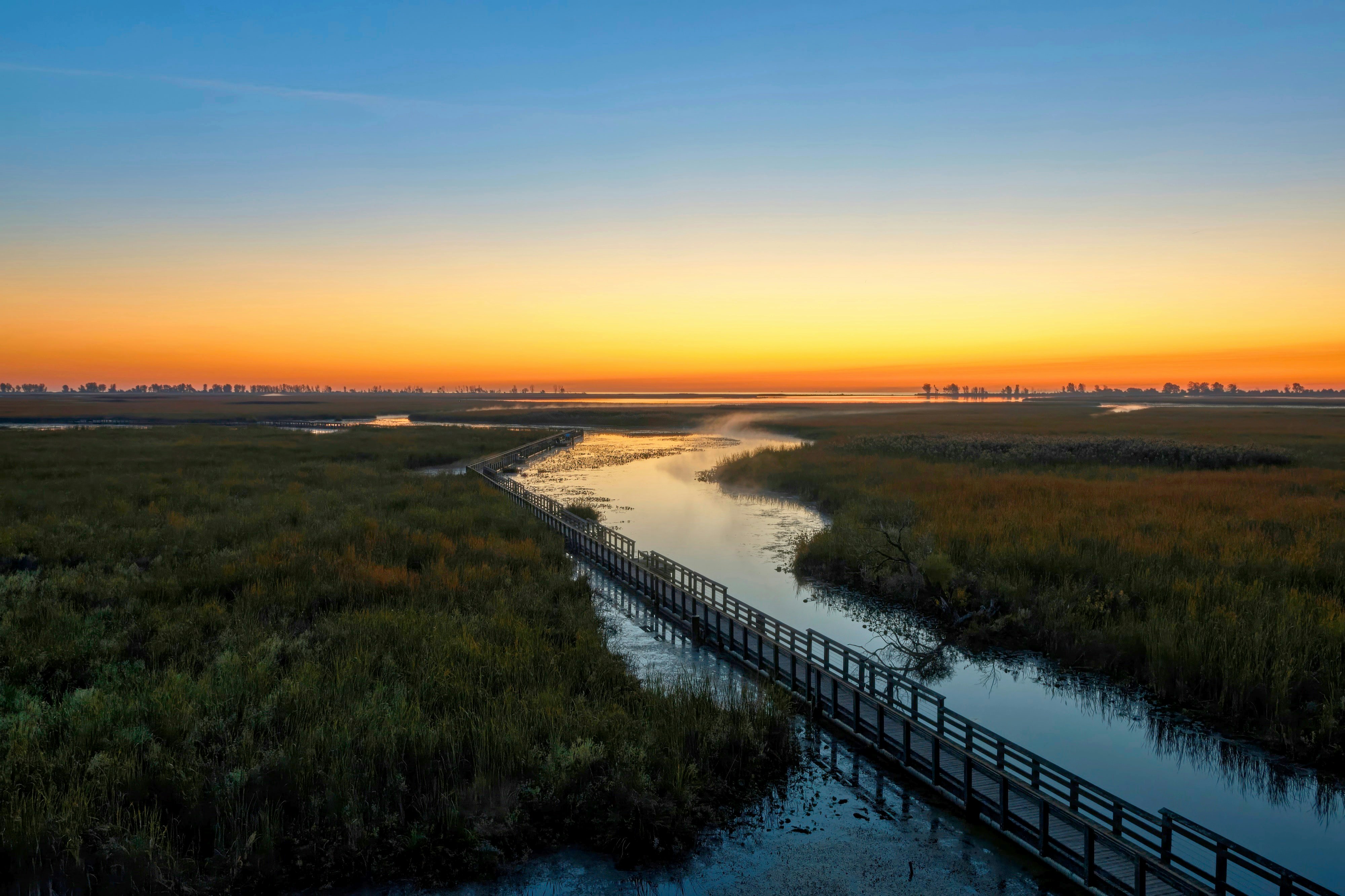 Sunset Boardwalk Across Tidal Marshes