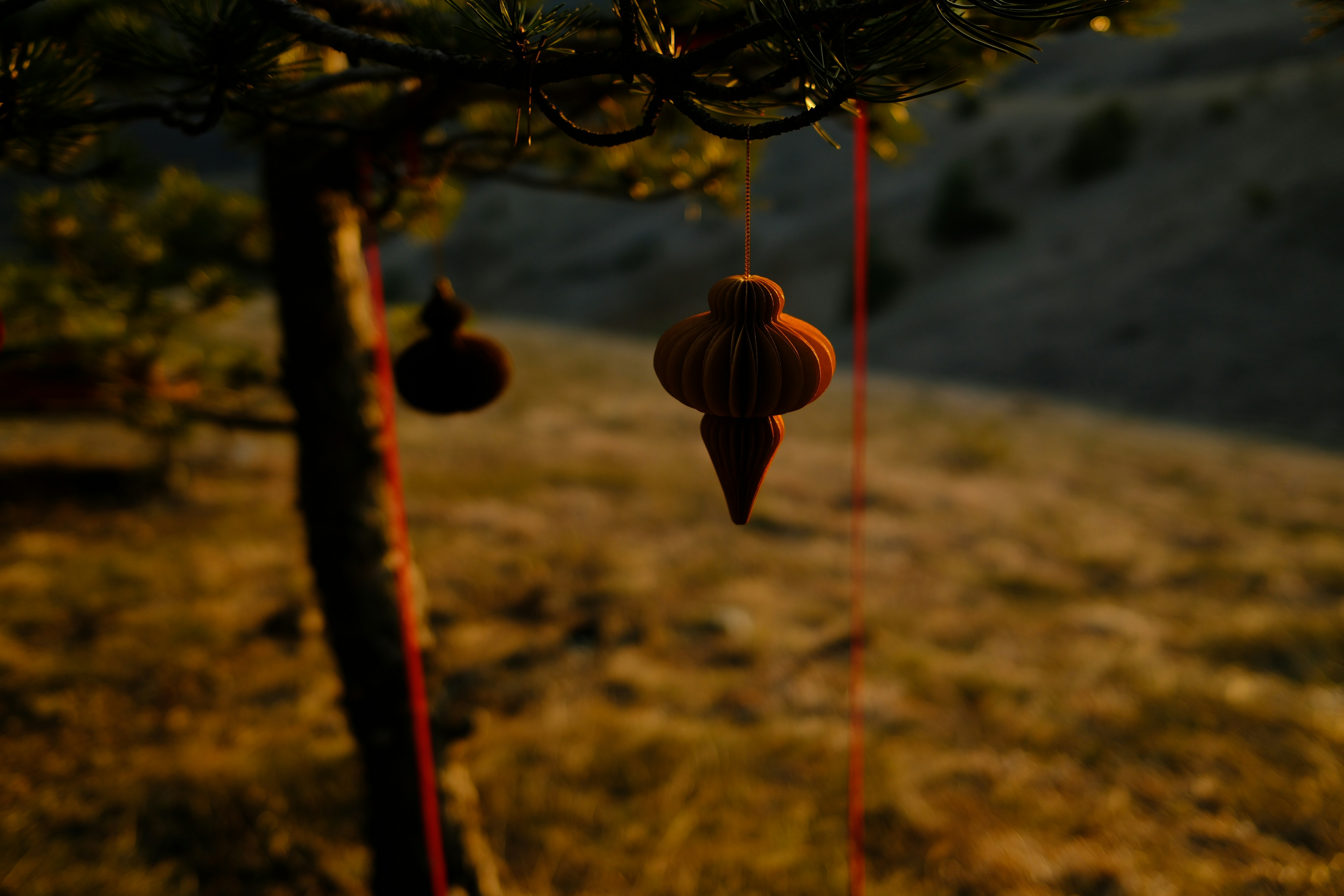 Hanging Ornament in Golden Hour: A Quiet Pendant Between Branches