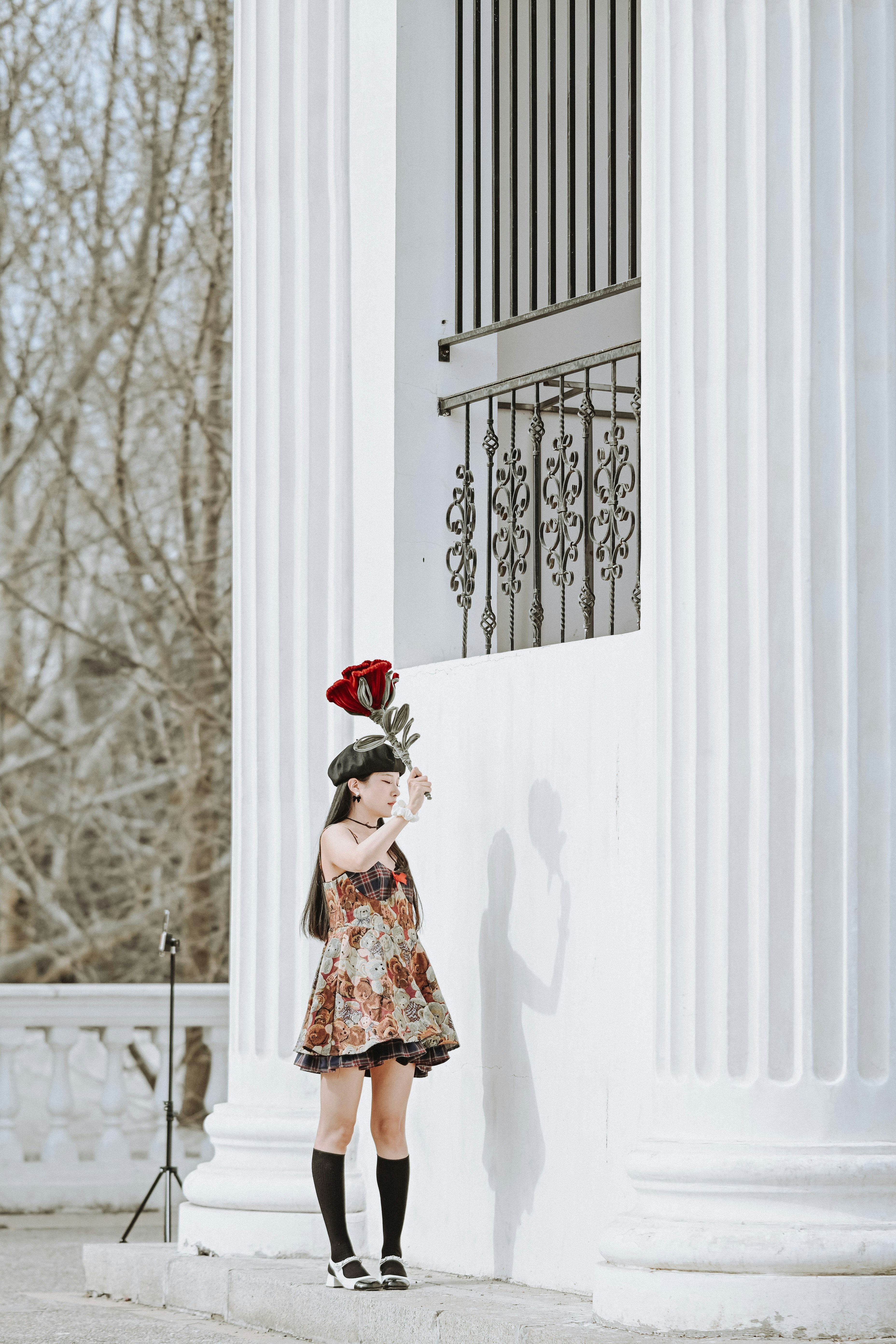 Red Rose in the Shadow of Columns
