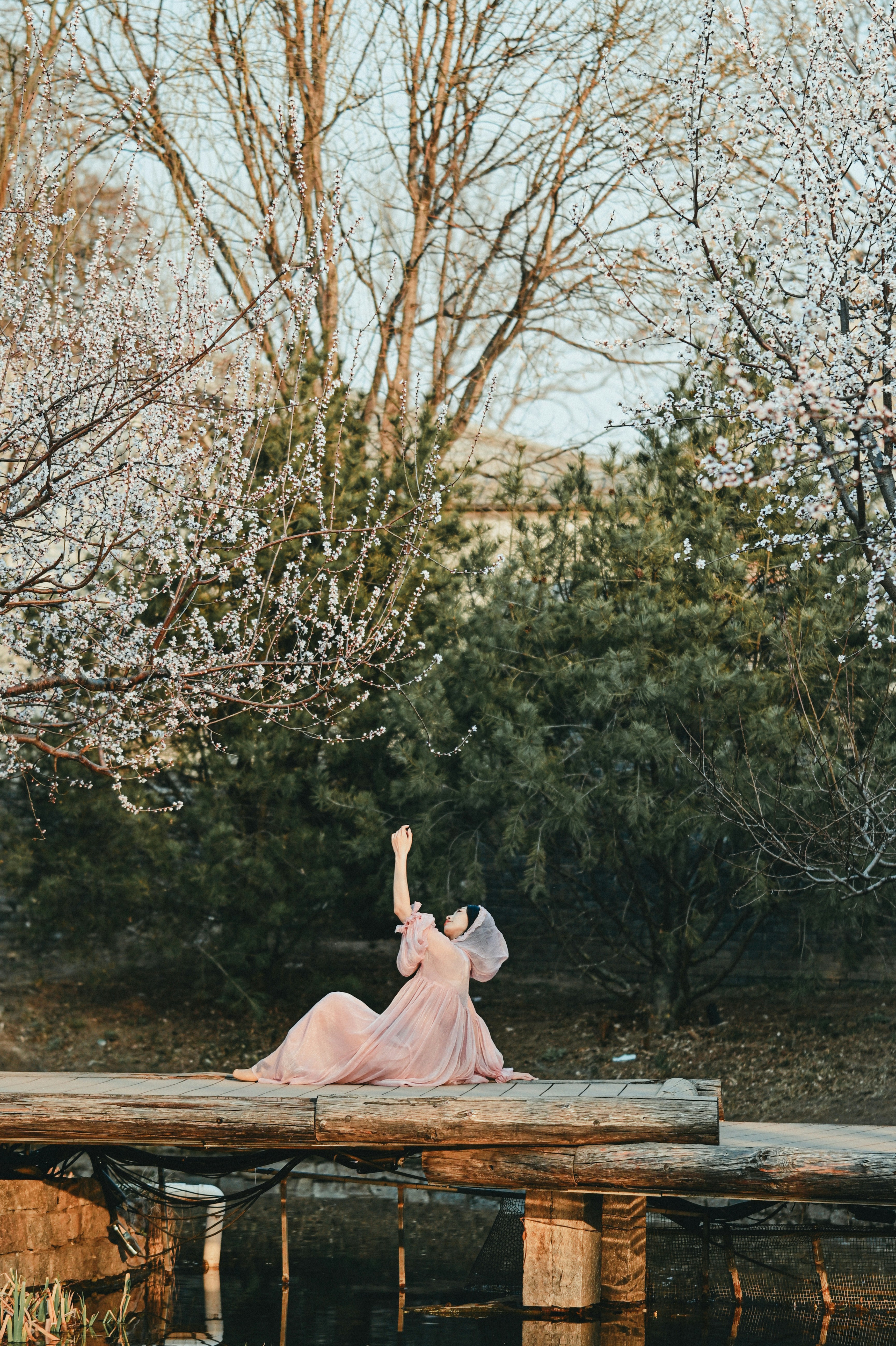 Blossoms and a Silent Pose on the Pier