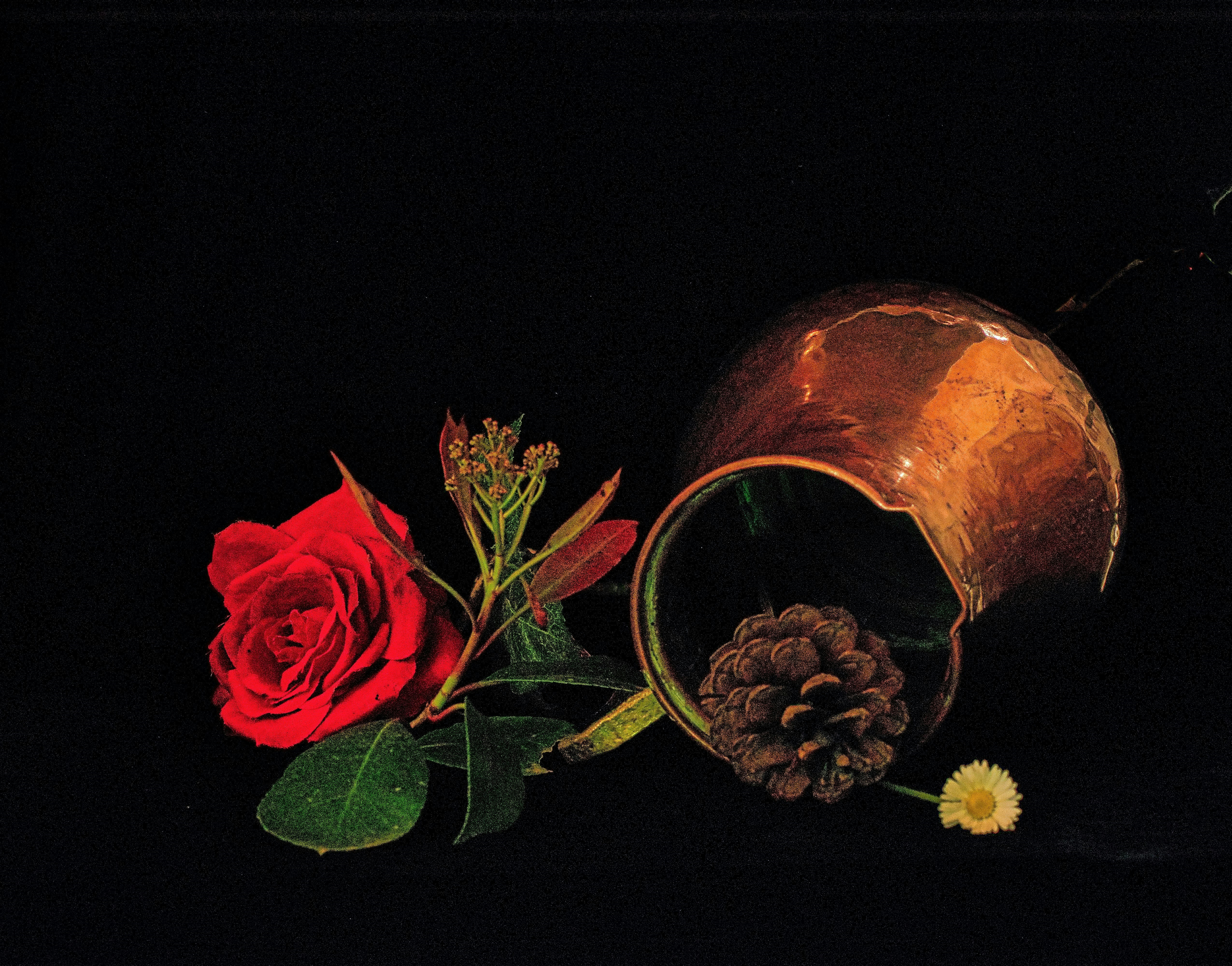 Velvet Still Life: A Scarlet Rose and Pinecone Spill from a Copper Cup