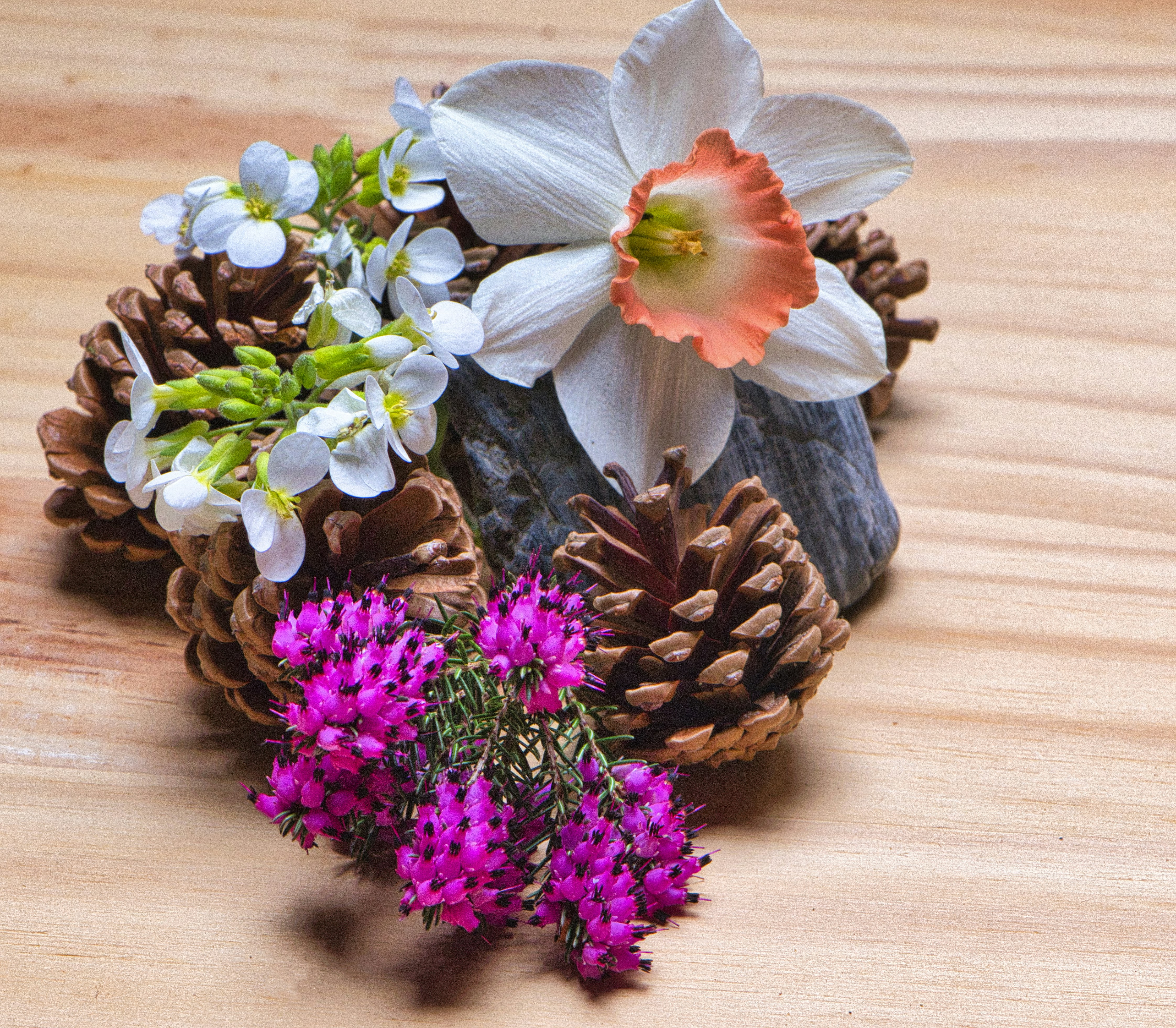 Whimsical Floral Nest: Pinecones, Blooms and Soft Woodgrain