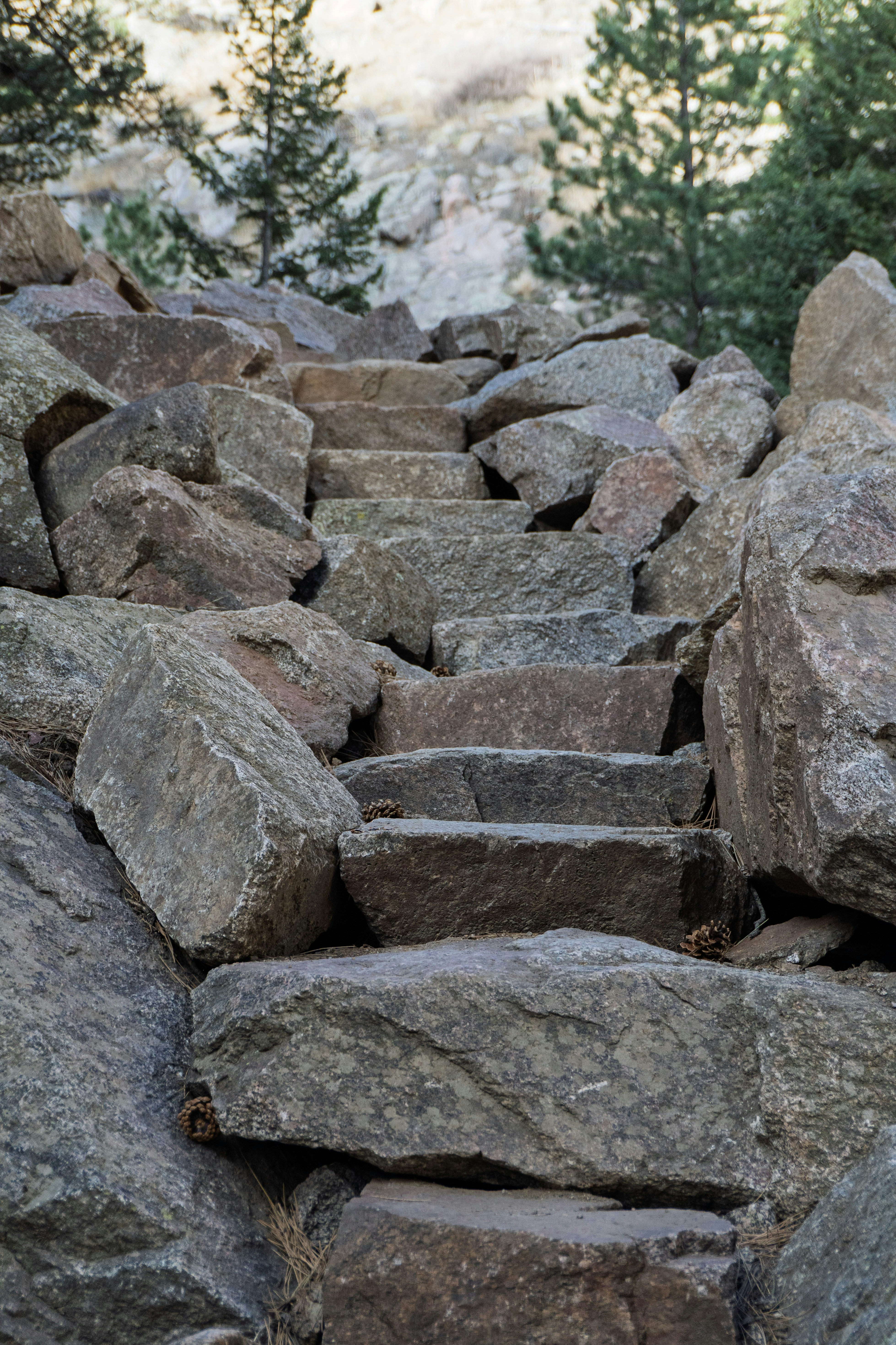 Mountain Staircase: Rugged Steps Into the Pine Vale