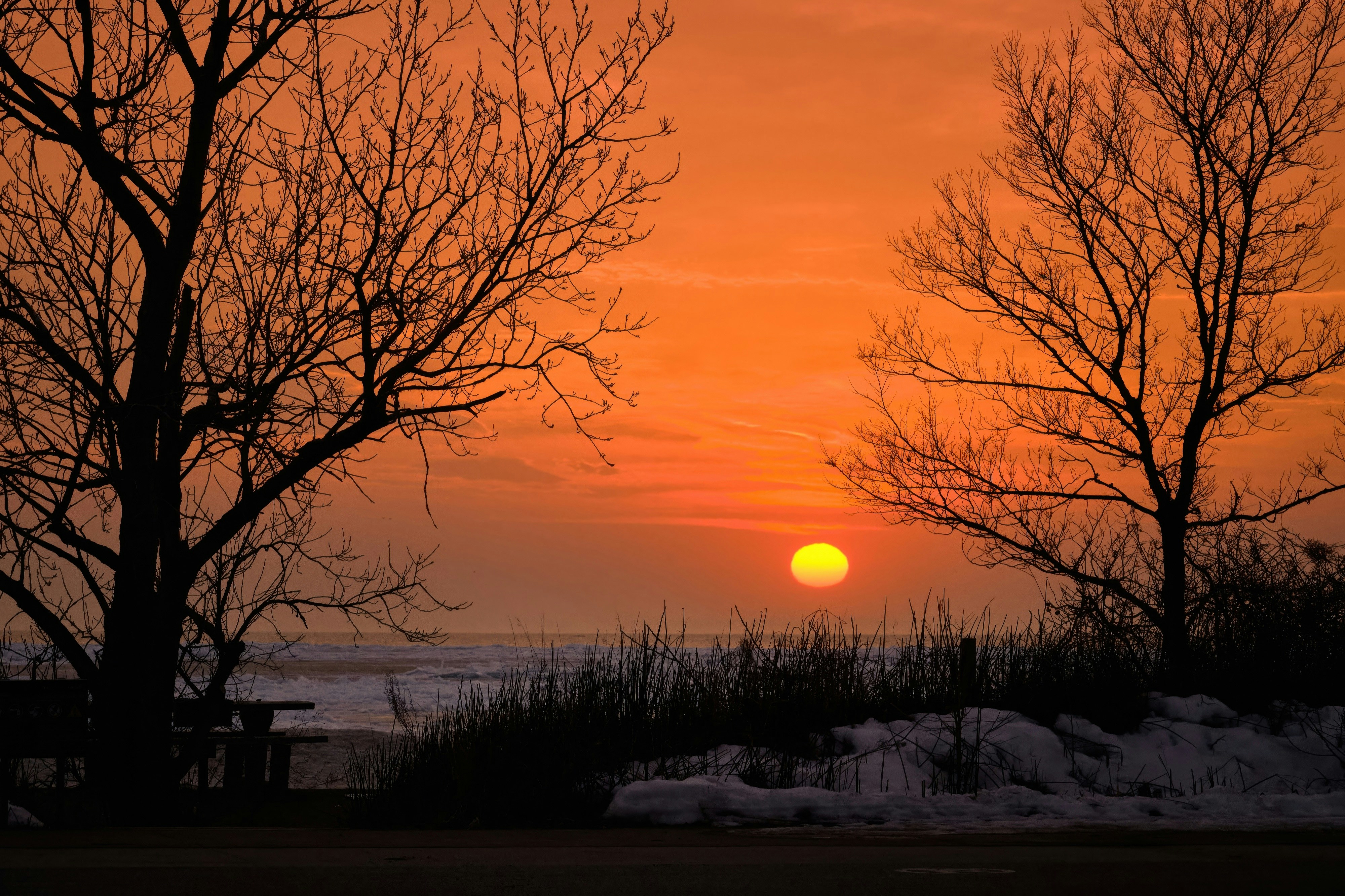 Sunlit Silence by the Frozen Shore