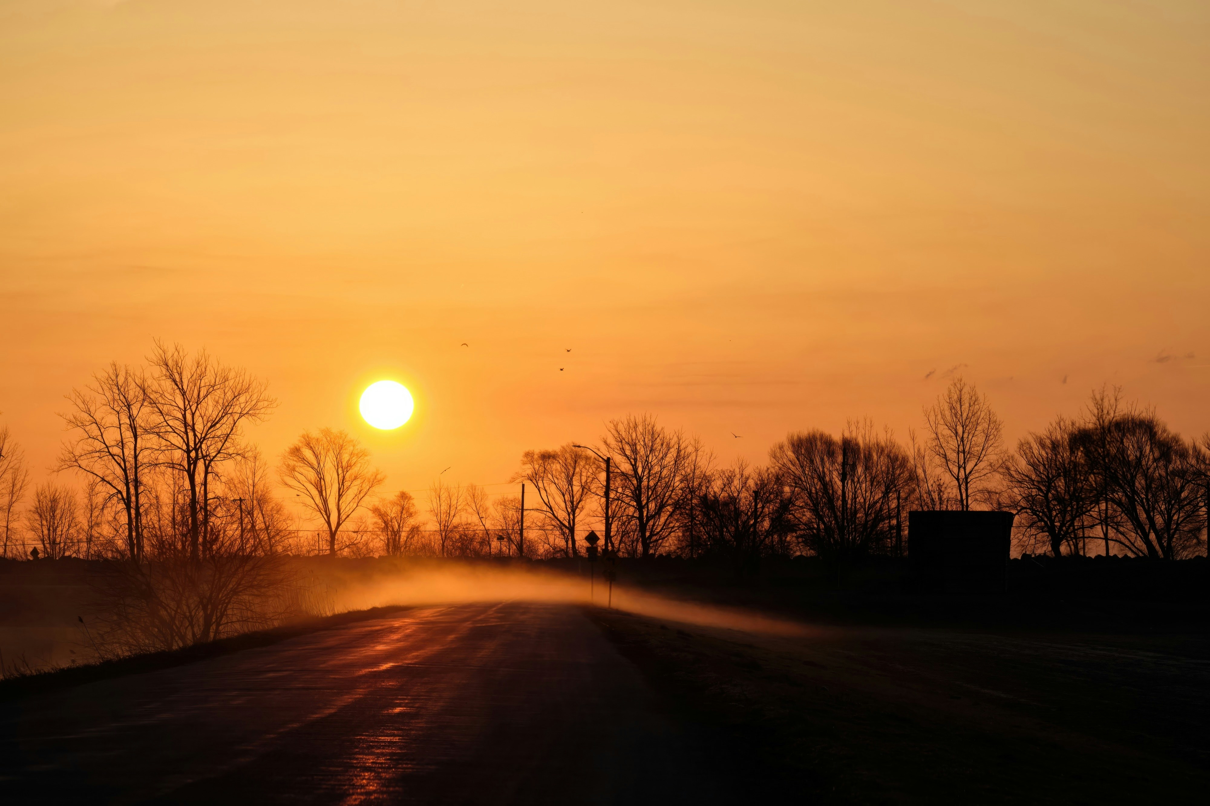 Golden Horizon on a Quiet Rural Road