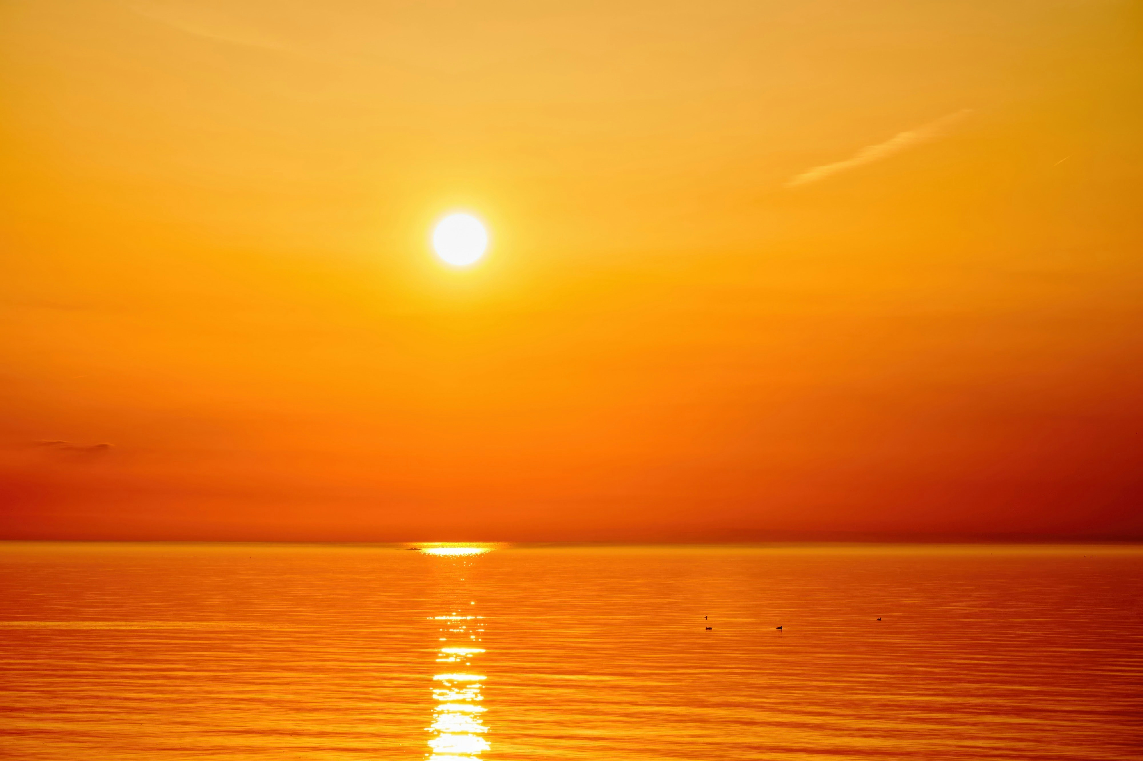 Golden Horizon: Sunlit Sea at Quiet Dusk