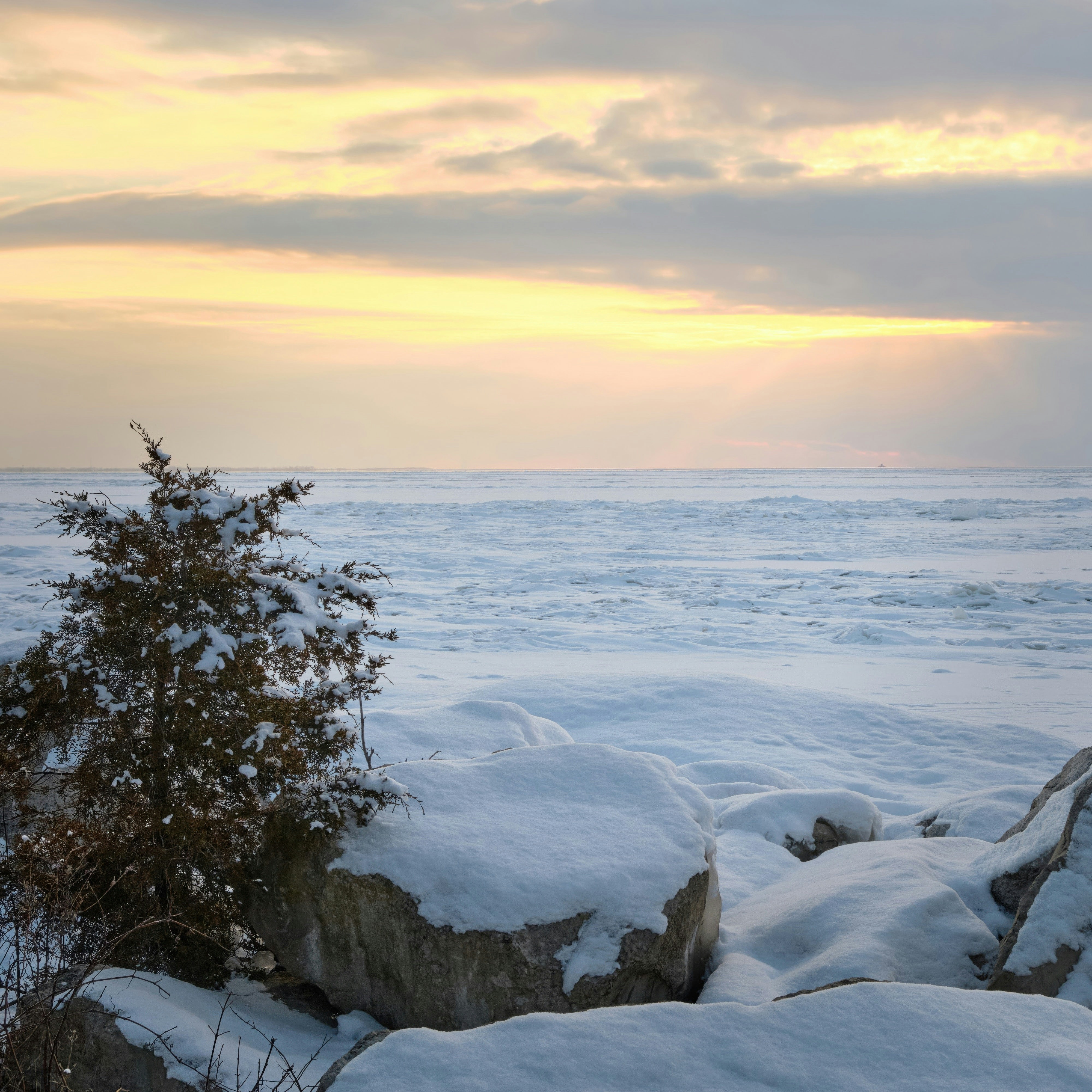 Snowbound Horizon: A Quiet Seaside Cliff in Winterlight