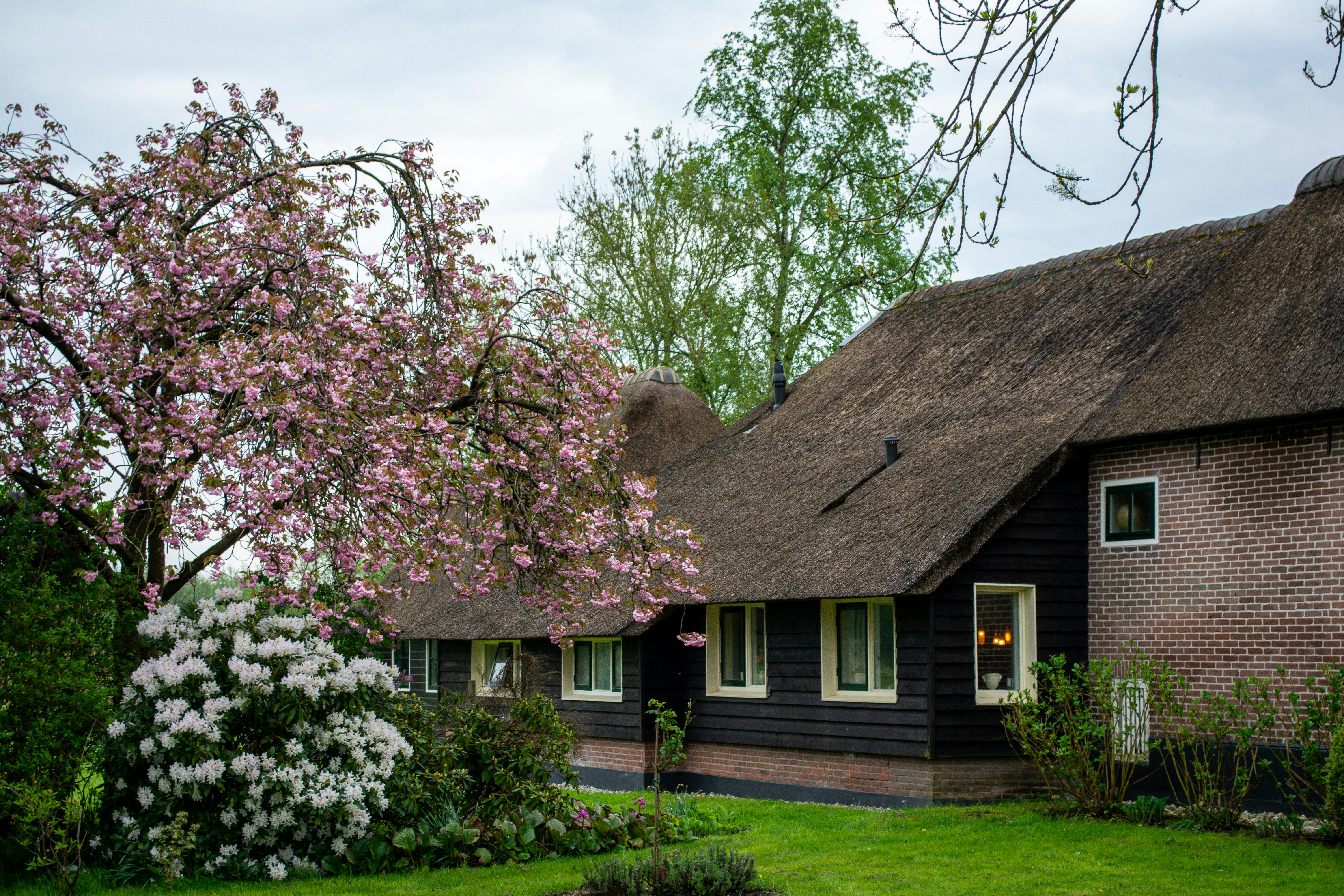 Thatched Cottage in Bloom