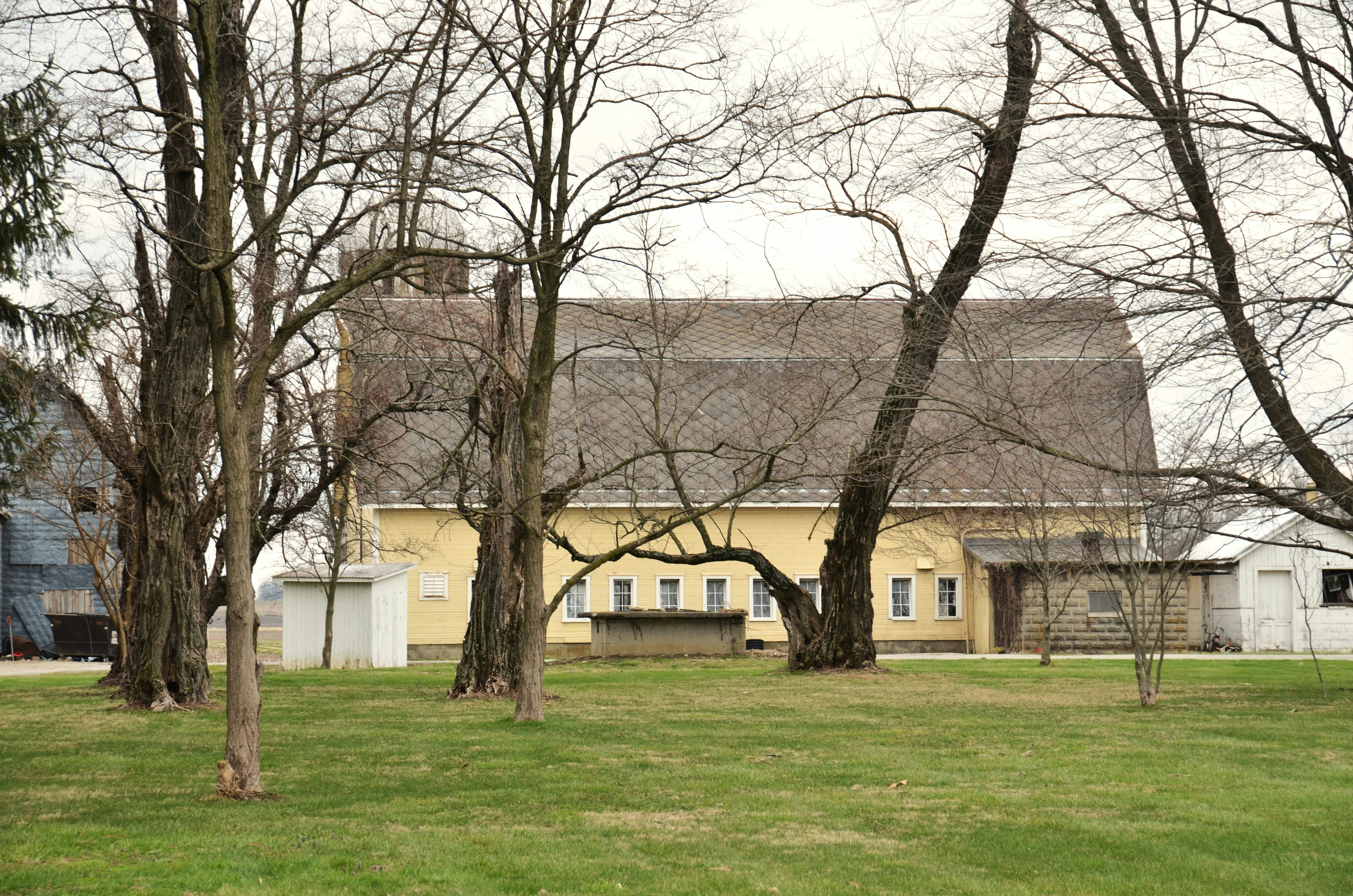Yellow house under bare trees by a quiet field
