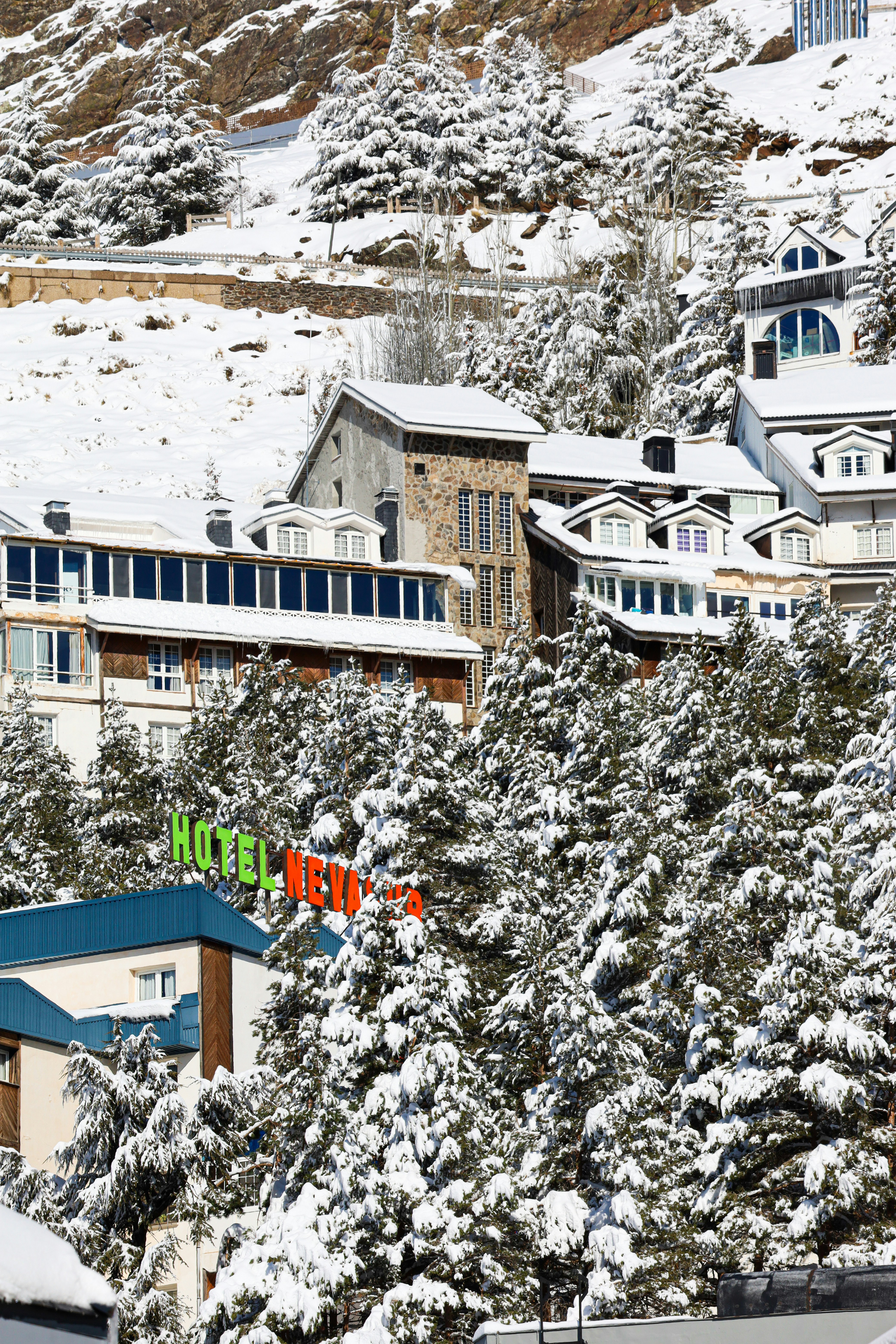 Snowbound Hotel Row beneath a Sky of Pines