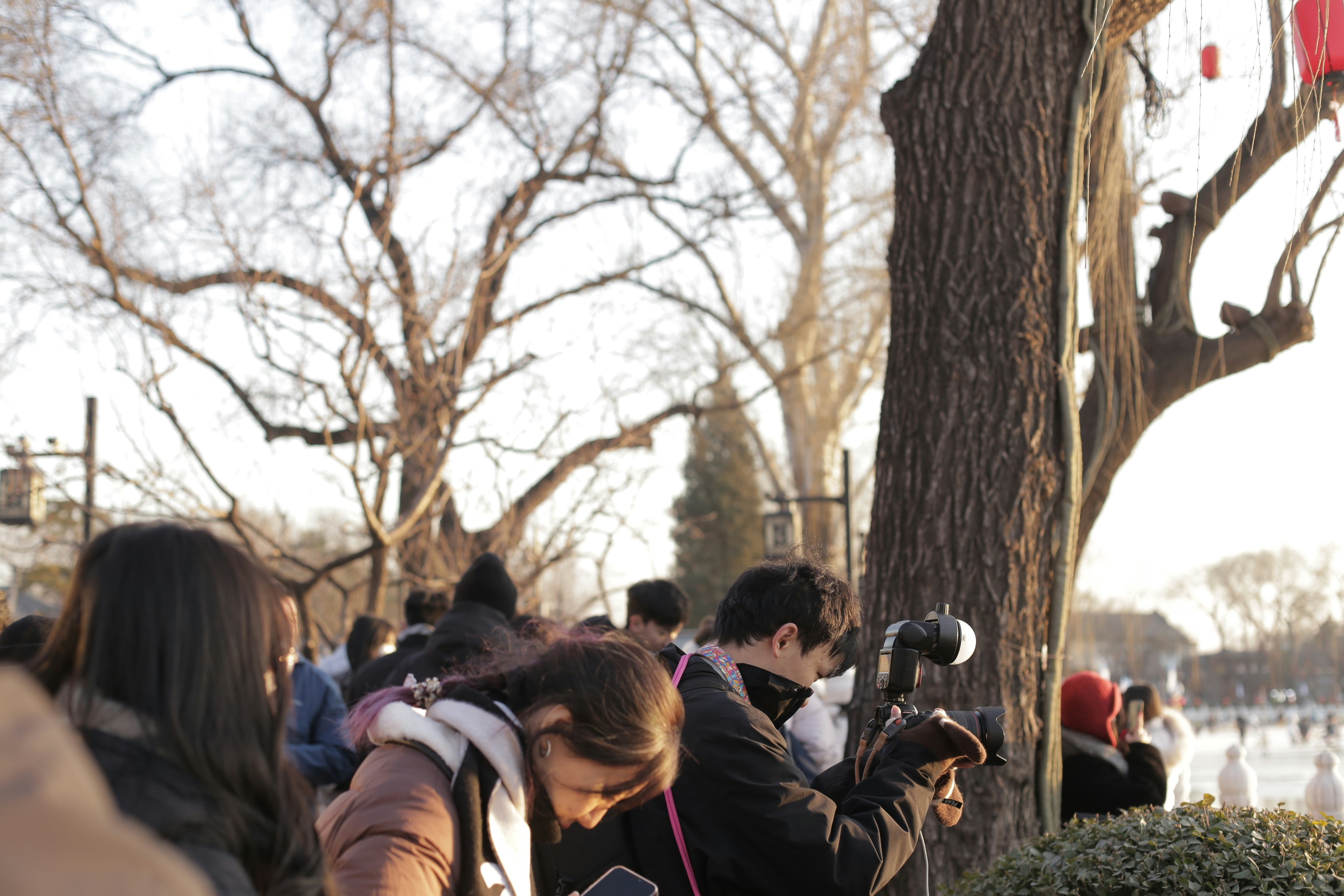 Lens Focus on the Crowd: A Quiet Moment Among the Photographers