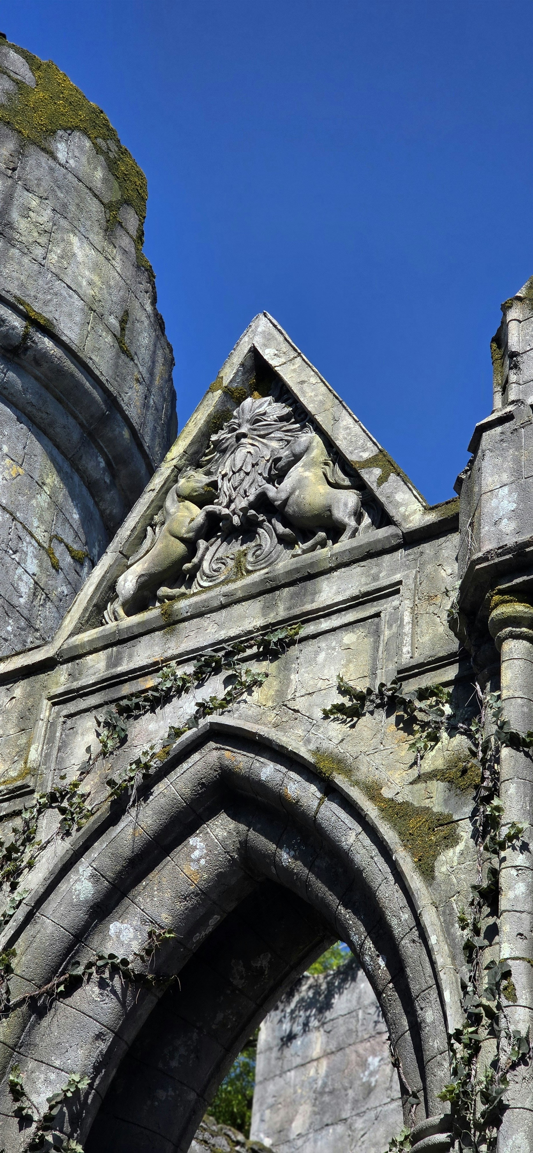 Lichen-lined Gothic Archway Reaching Toward a Clear Sky