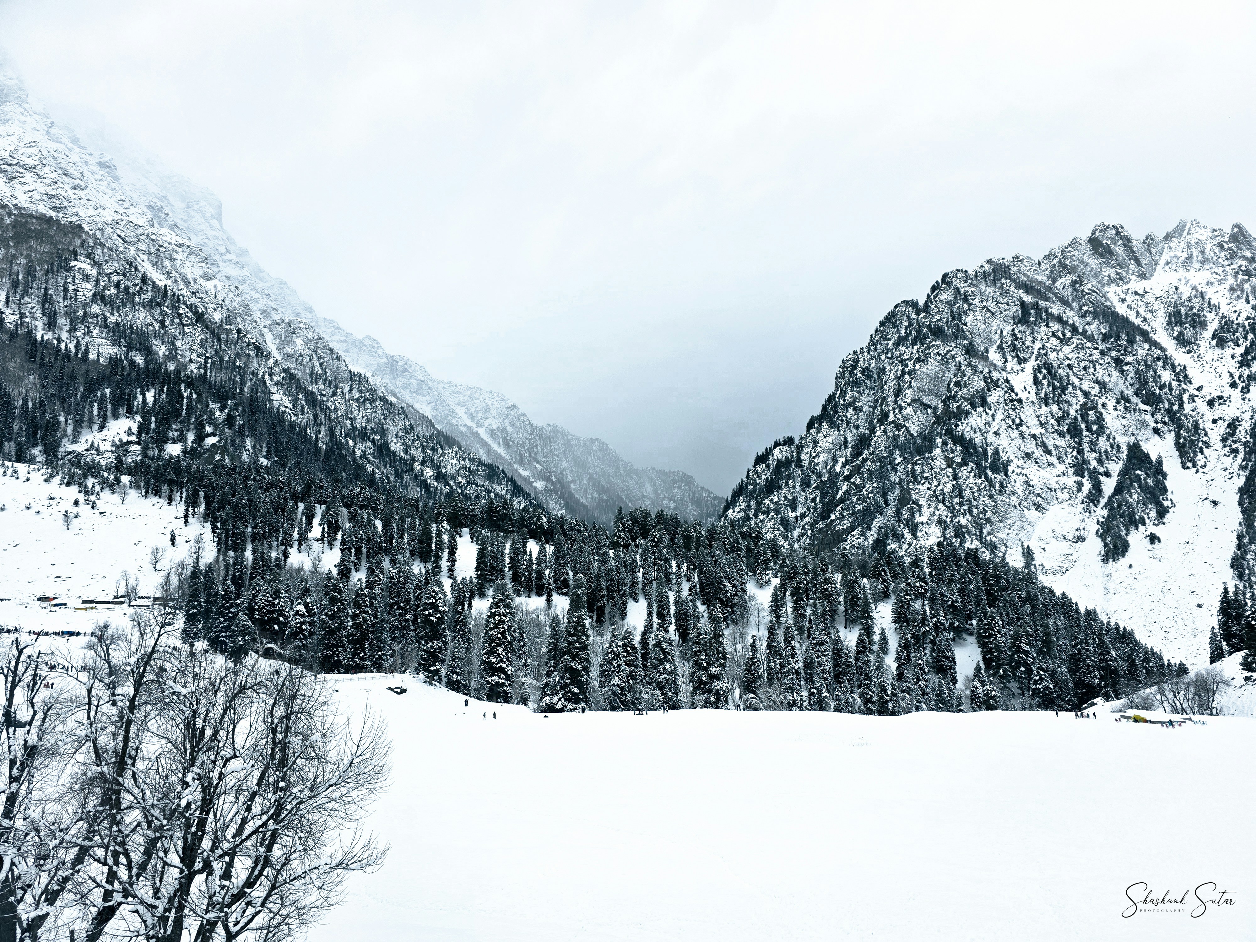 Snowbound Silence: A Narrow Valley of Pines and Peaks