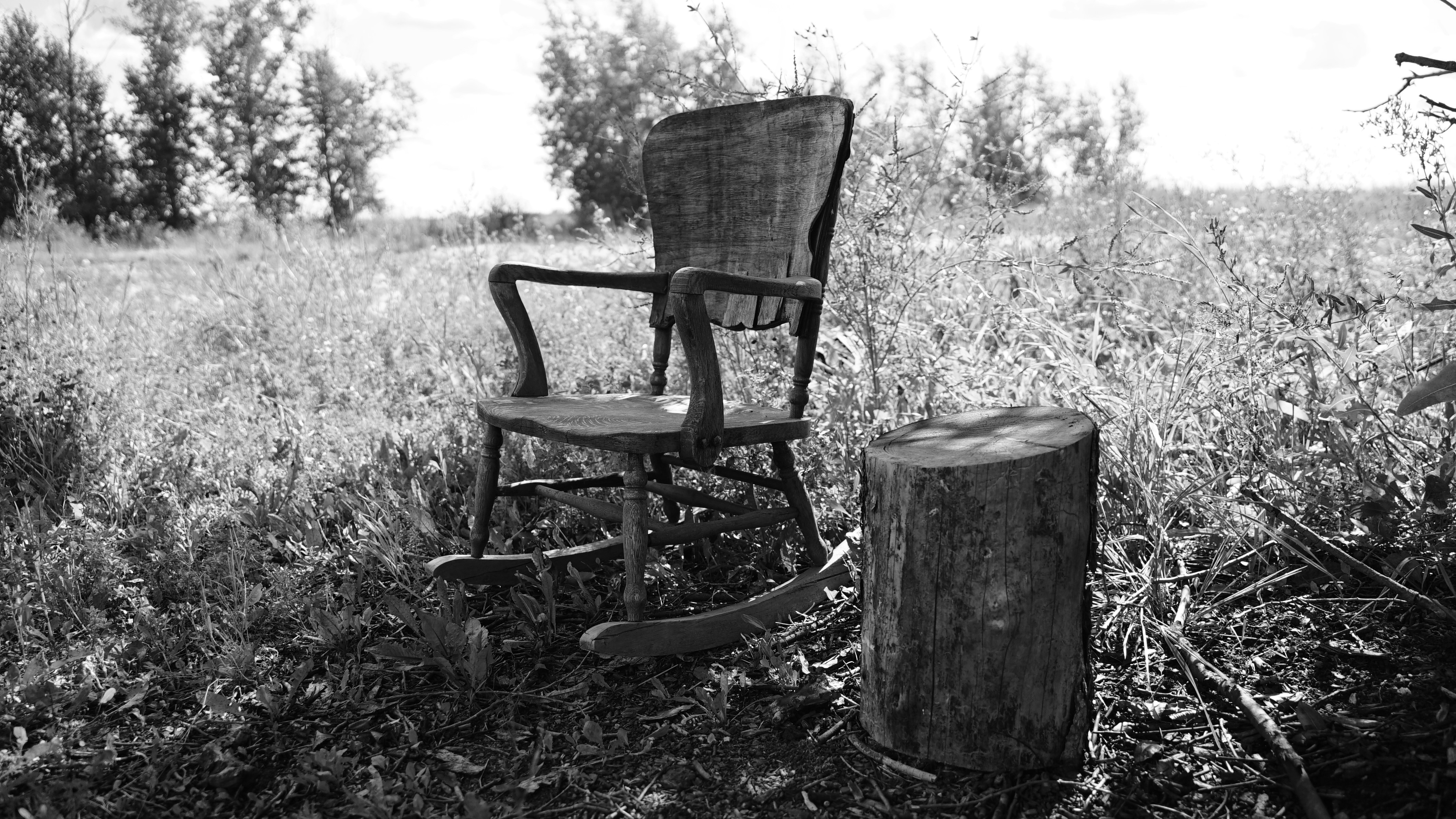 Whispers of the Field: An Abandoned Chair and a Stump