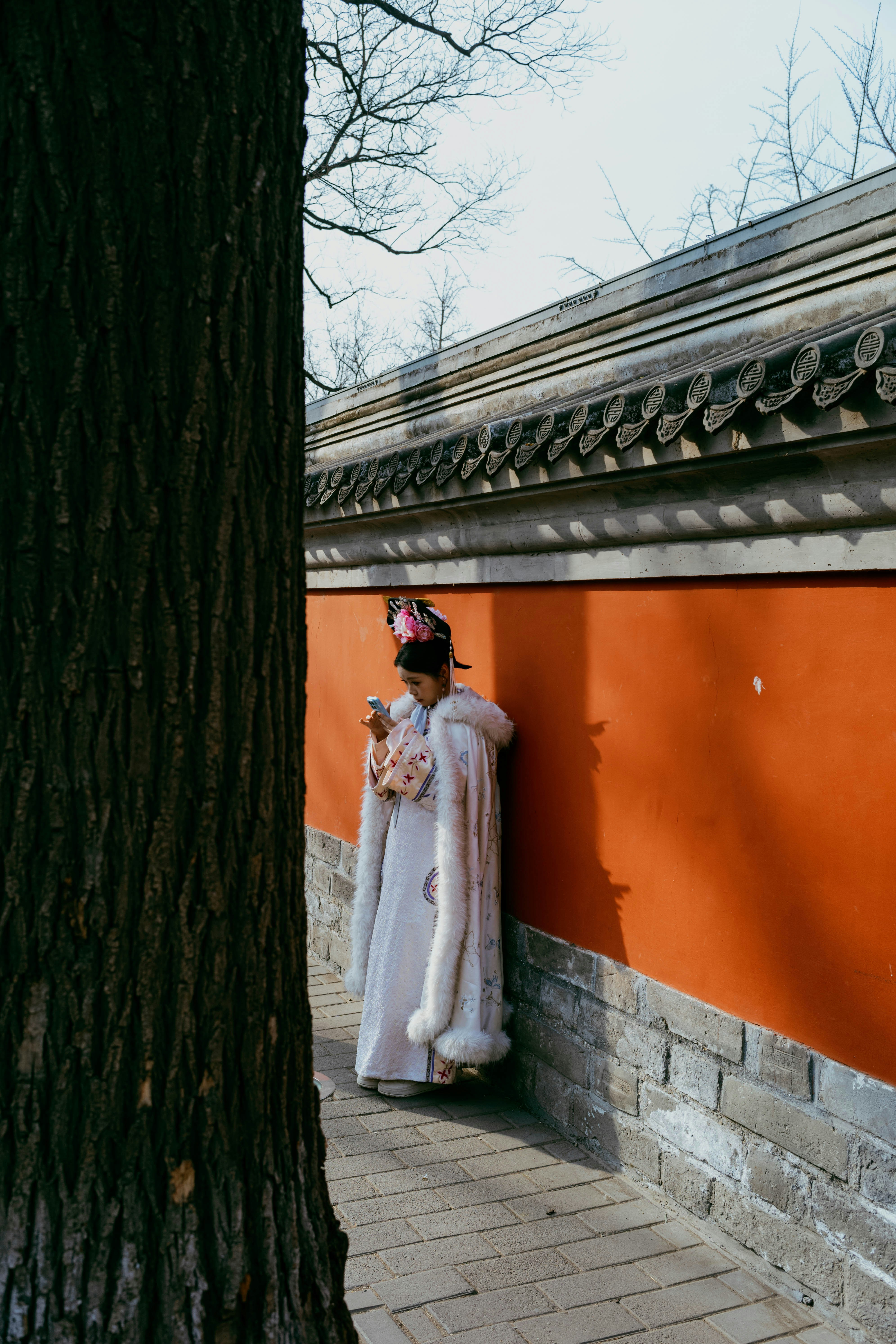 Silk-White amid the Orange Wall: A Quiet Moment in Tradition