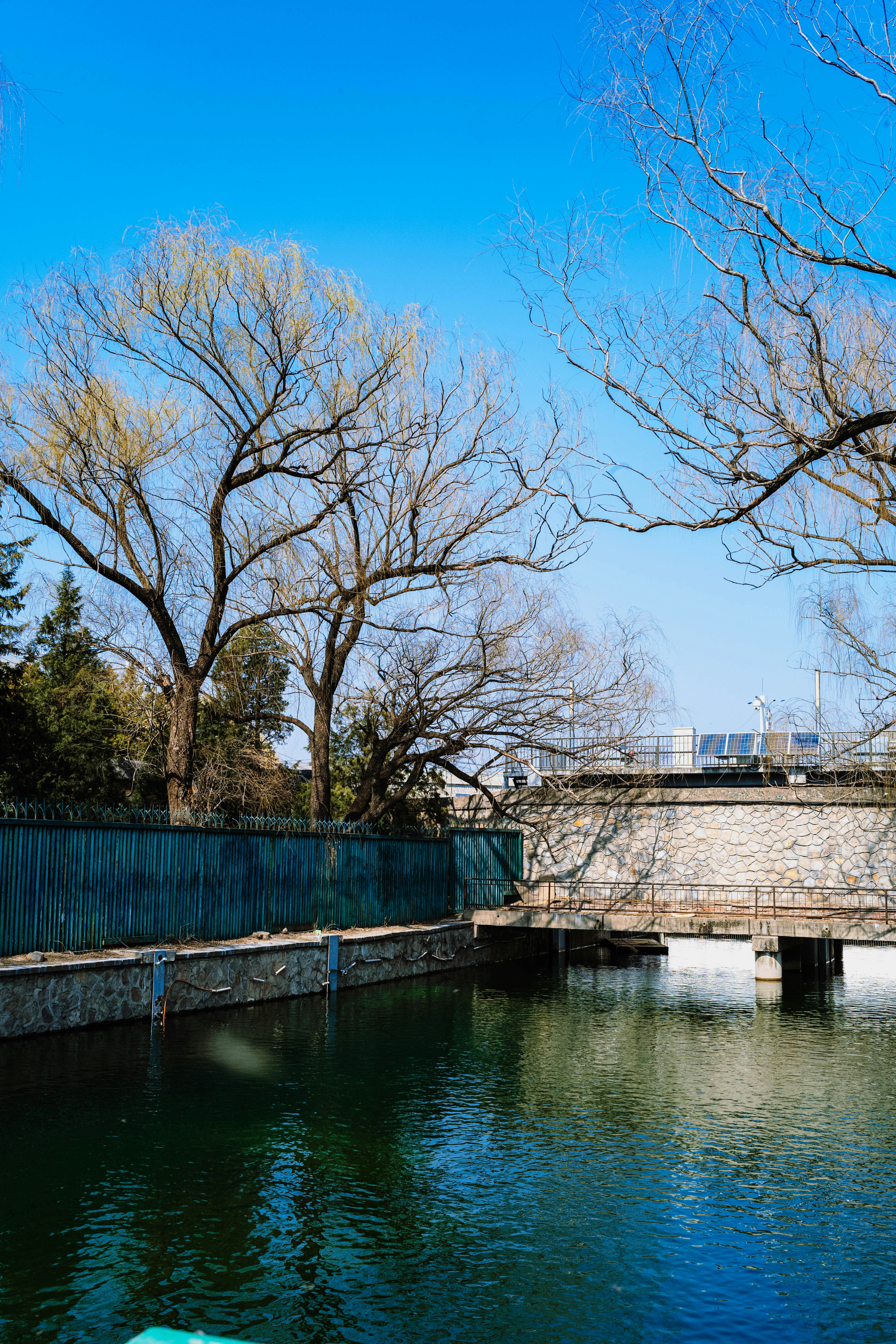 Springtime at the River: Bare Trees and Blue Sky over a Quiet Span