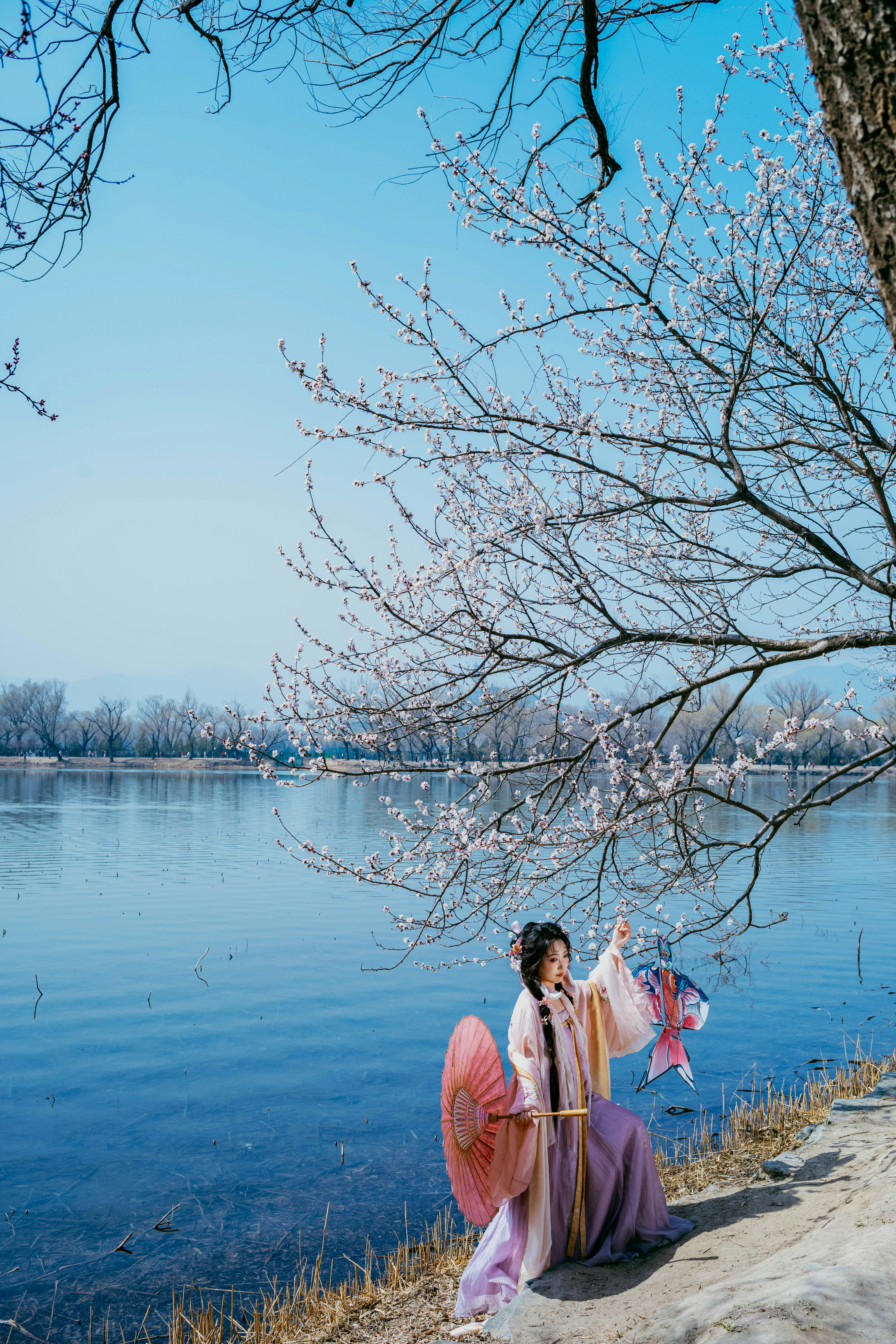 Cherry Bloom by the Lake: Silk Kimono and a Floating Umbrella