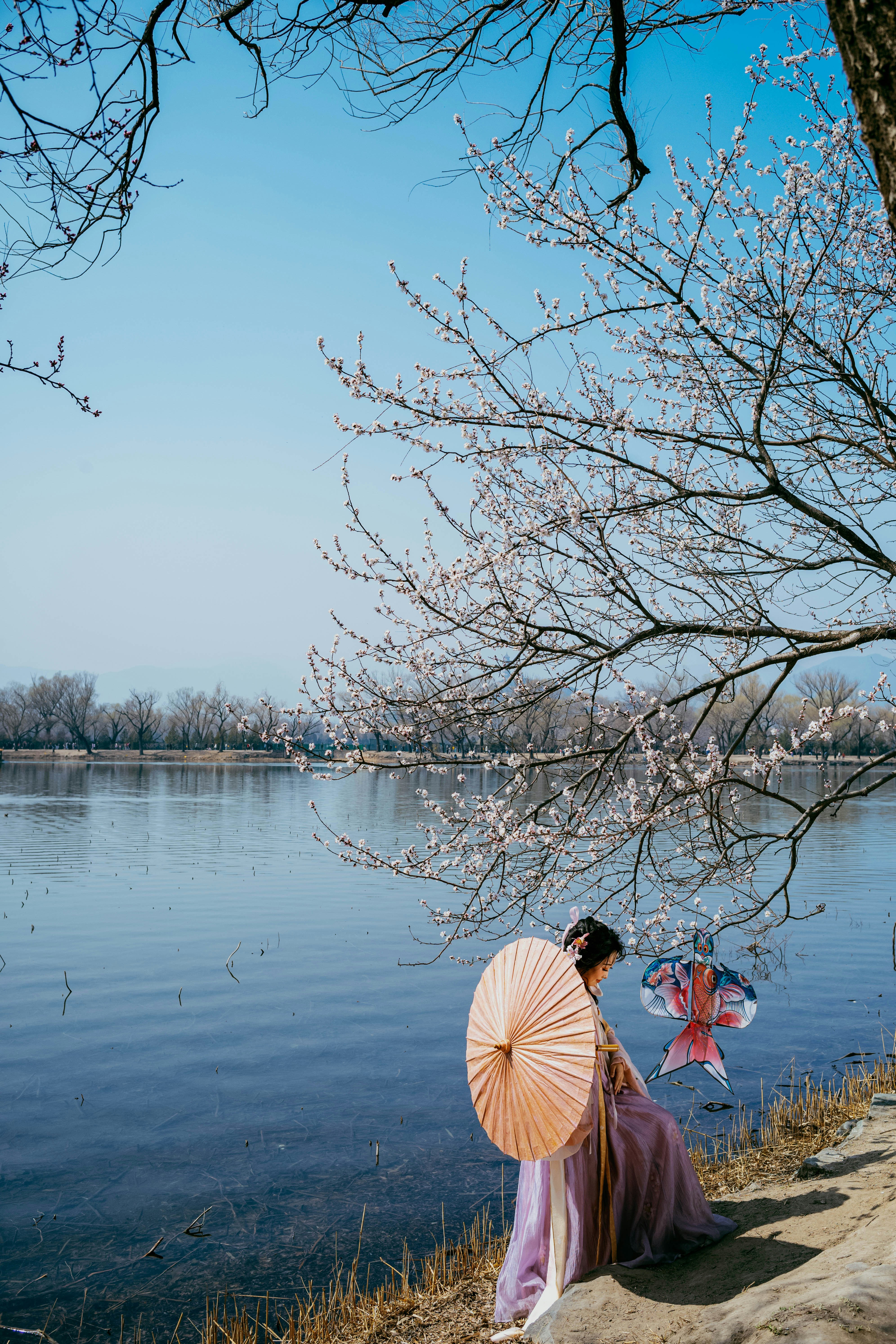 Blossoms by the Shore: A Geisha with a Peach Parasol Beside the Quiet Lake
