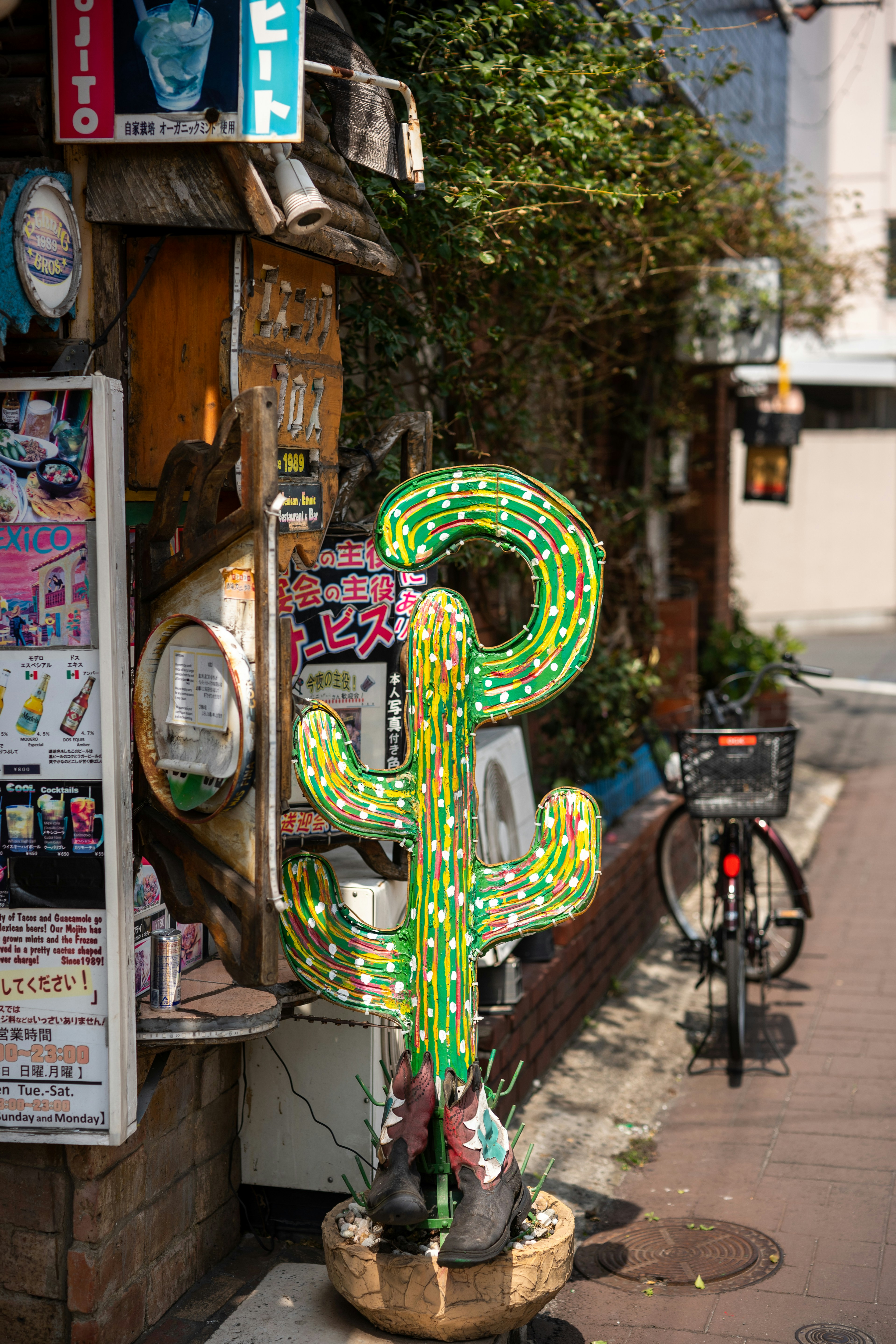Neon Cactus by the Alley: A Pocket of Tokyo Color