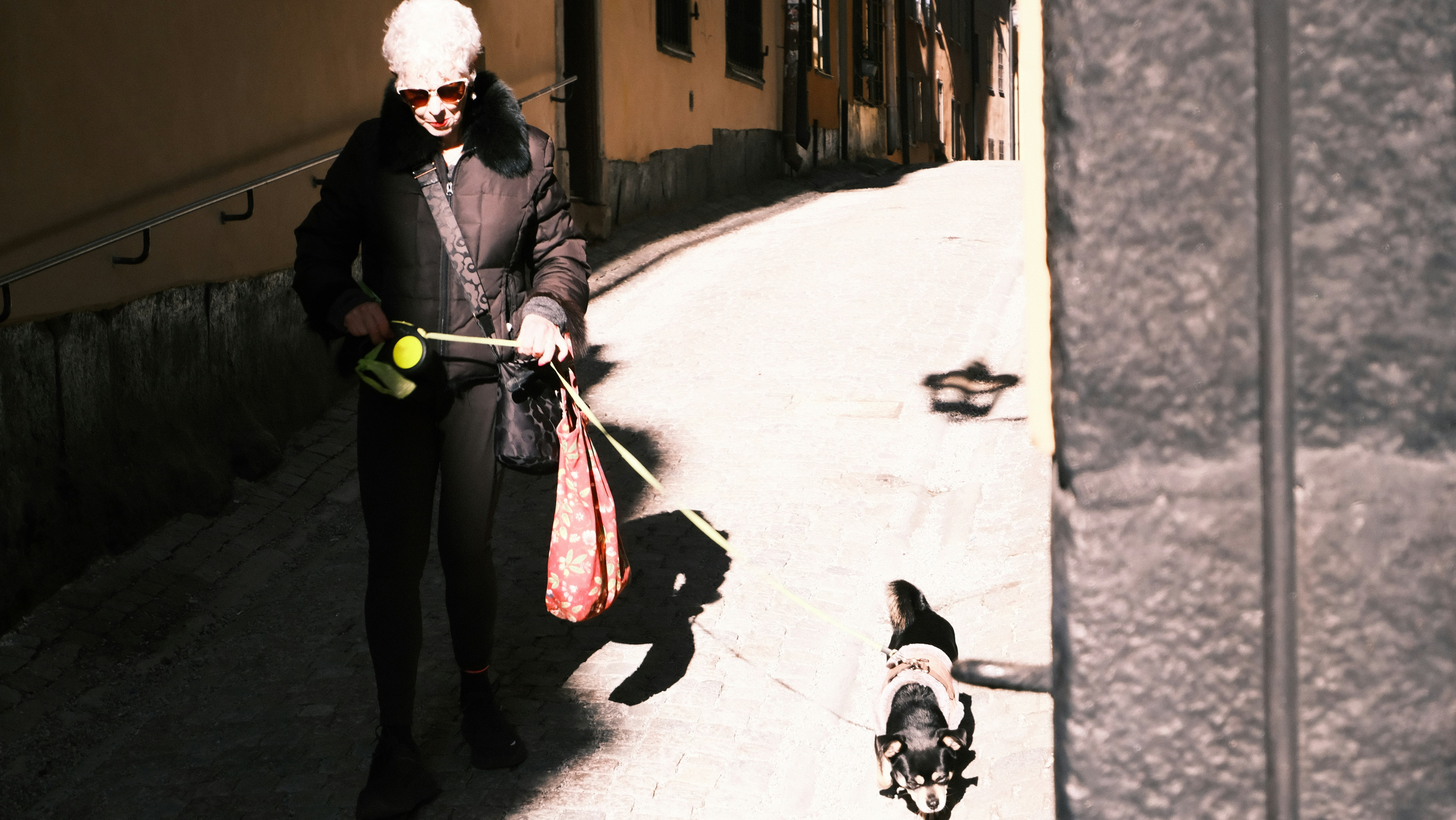 Senior in a Winter Alley Walks a Dog on a Harness