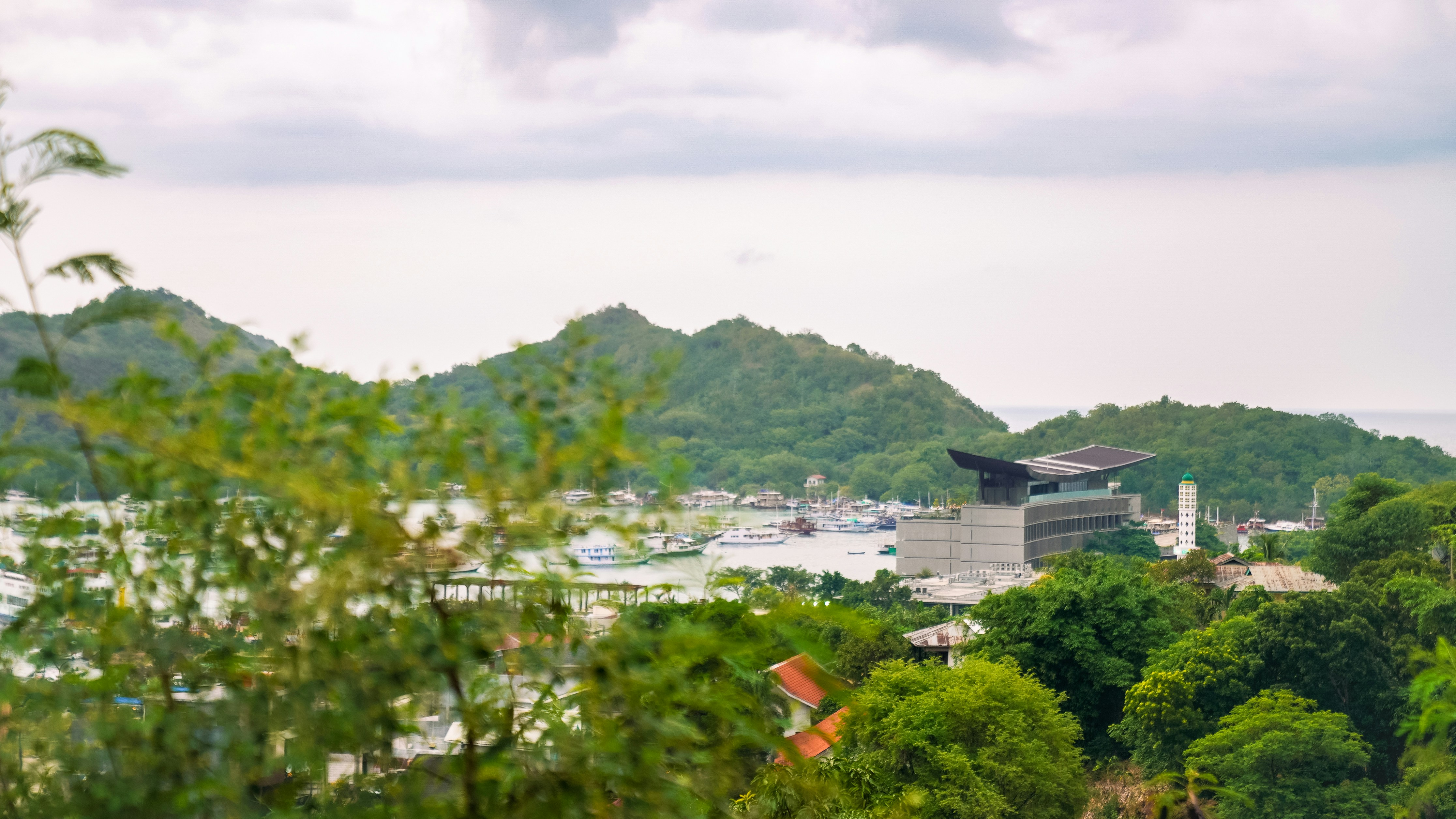 Muted Harborscape: Green Hills and Modern Waterfront