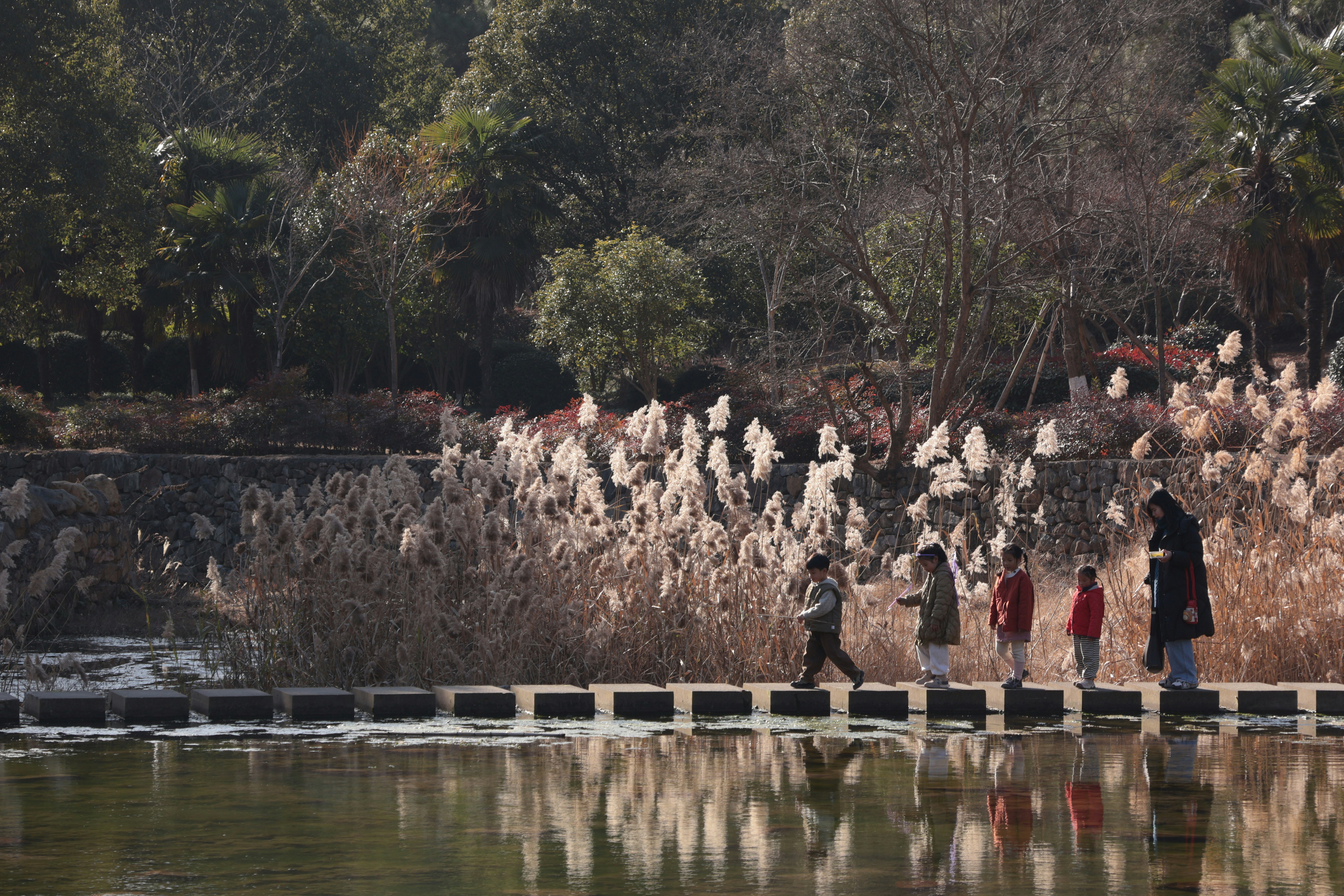 Group of walkers crossing a shaded waterway along a reed-lined path