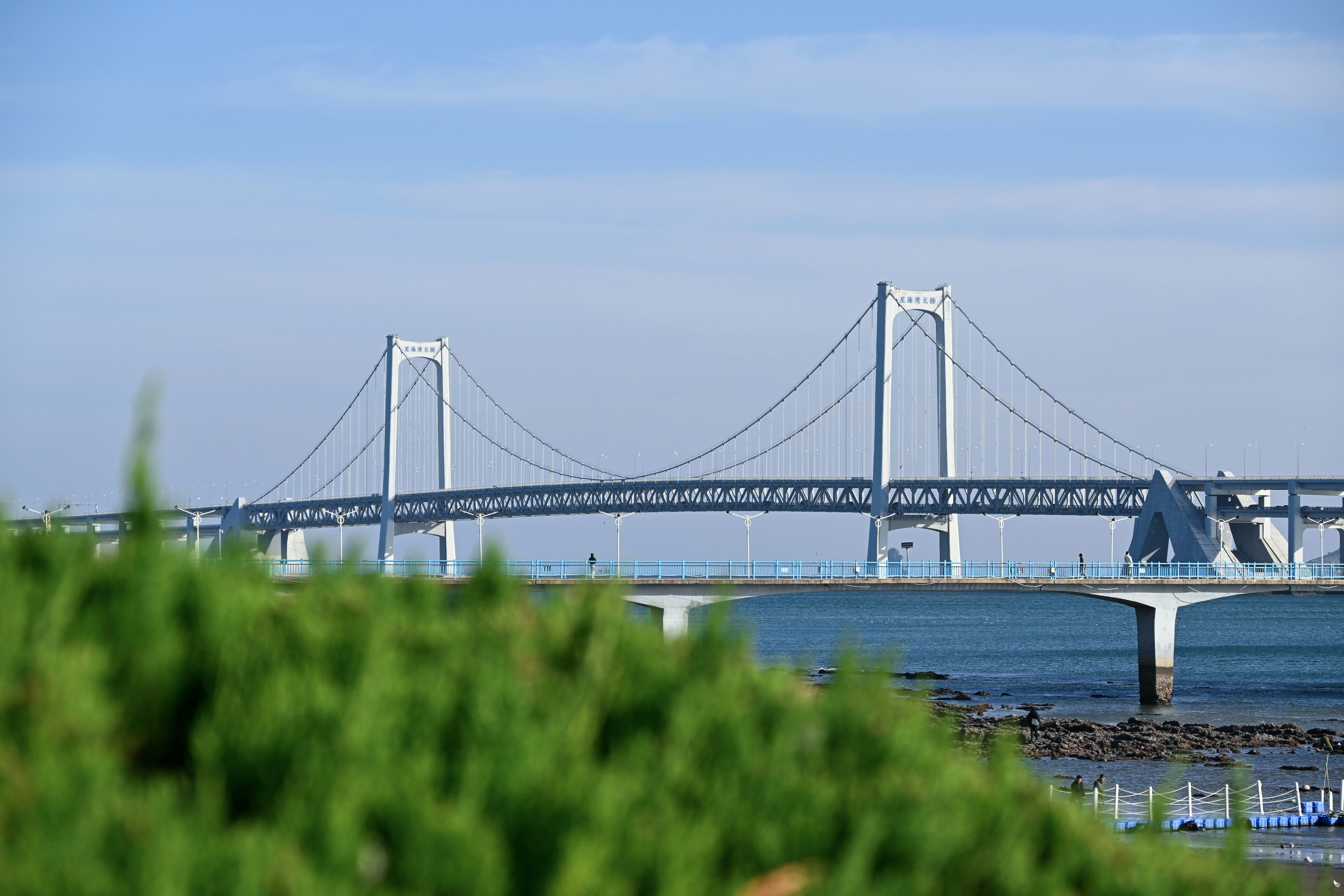 Landscape Bridge in Focus: A Quiet Waterfront Moment