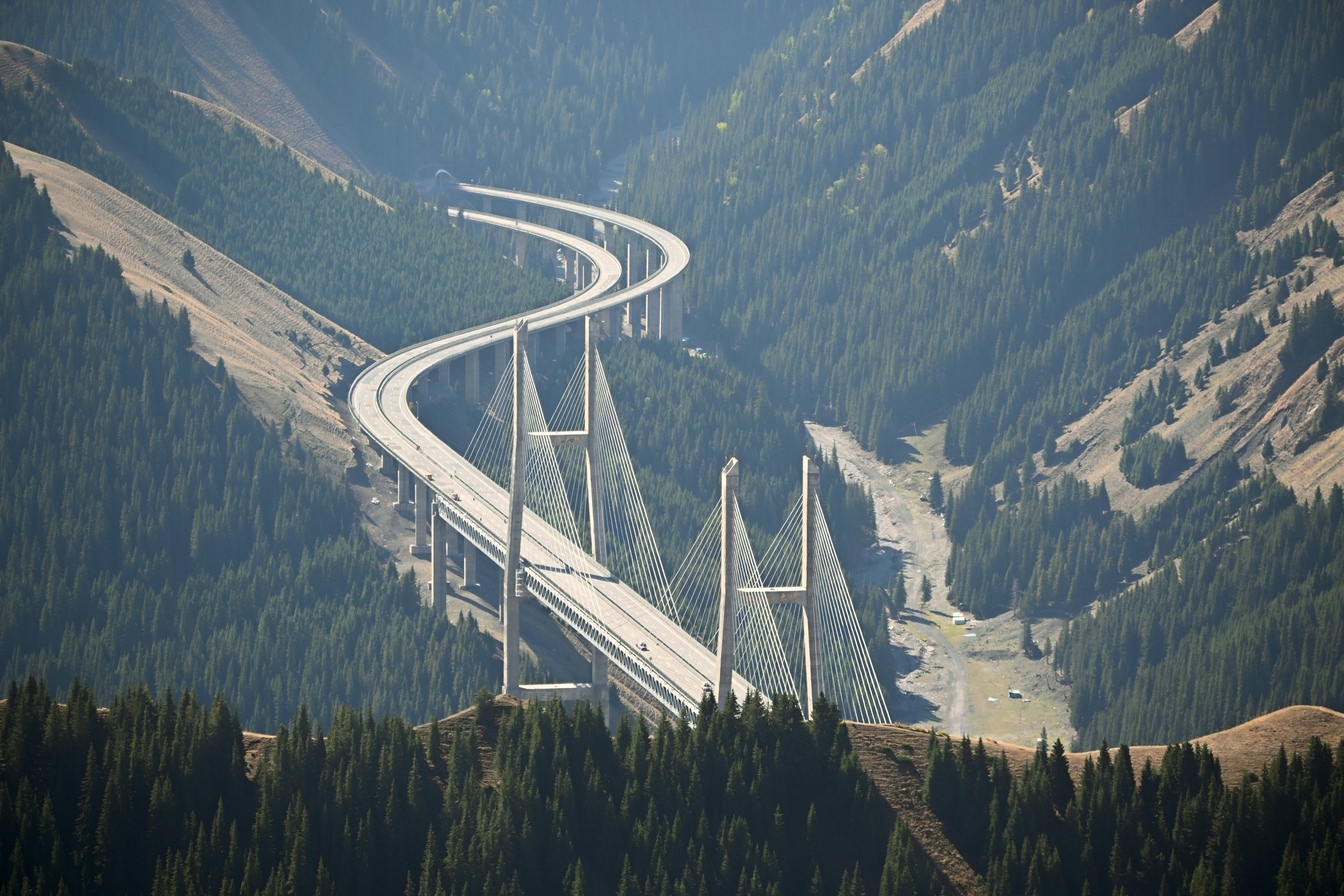 Curving Skybridge: A Stainless Arc Across Alpine Pines