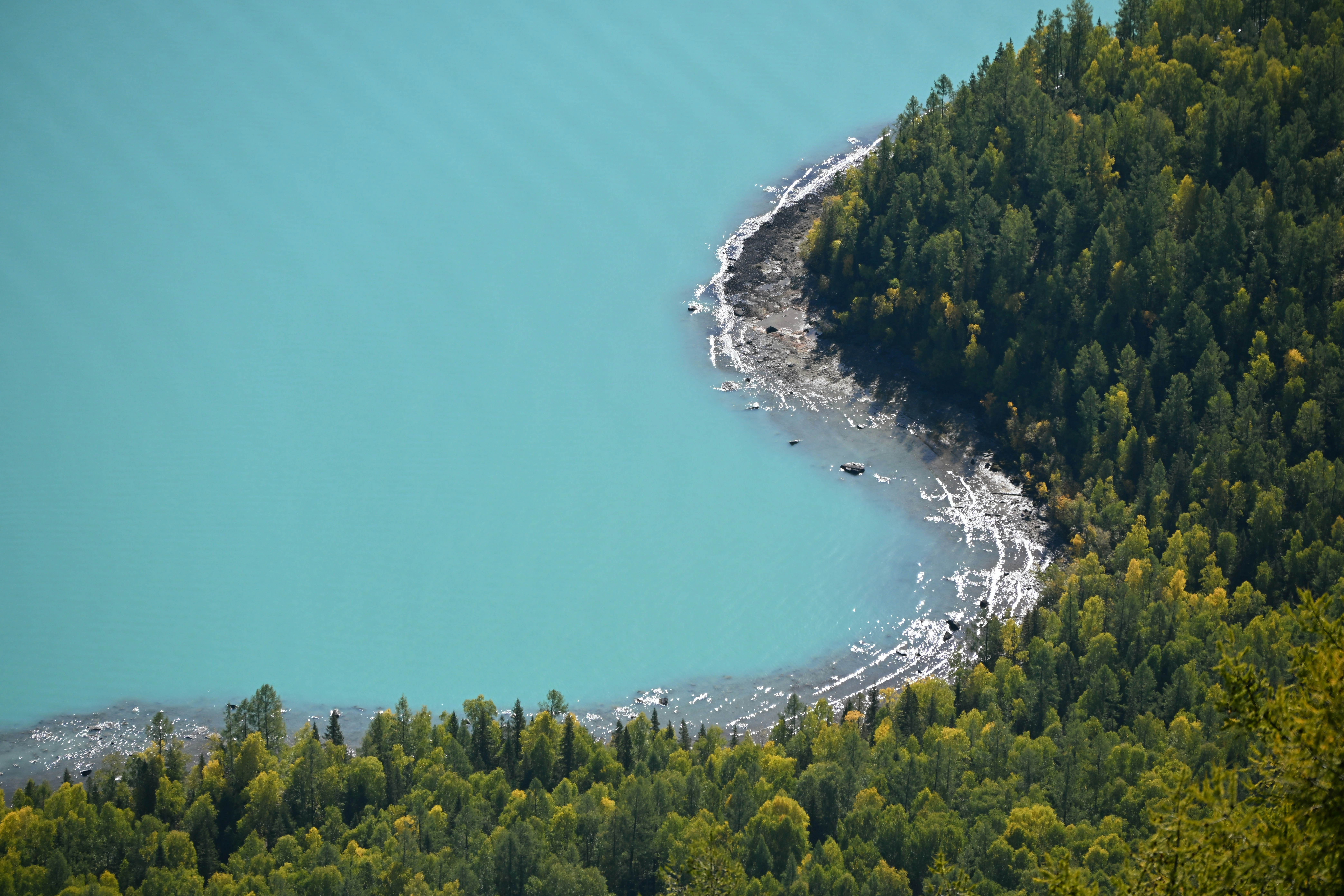Crescent of Turquoise Water Meeting Forest Edge