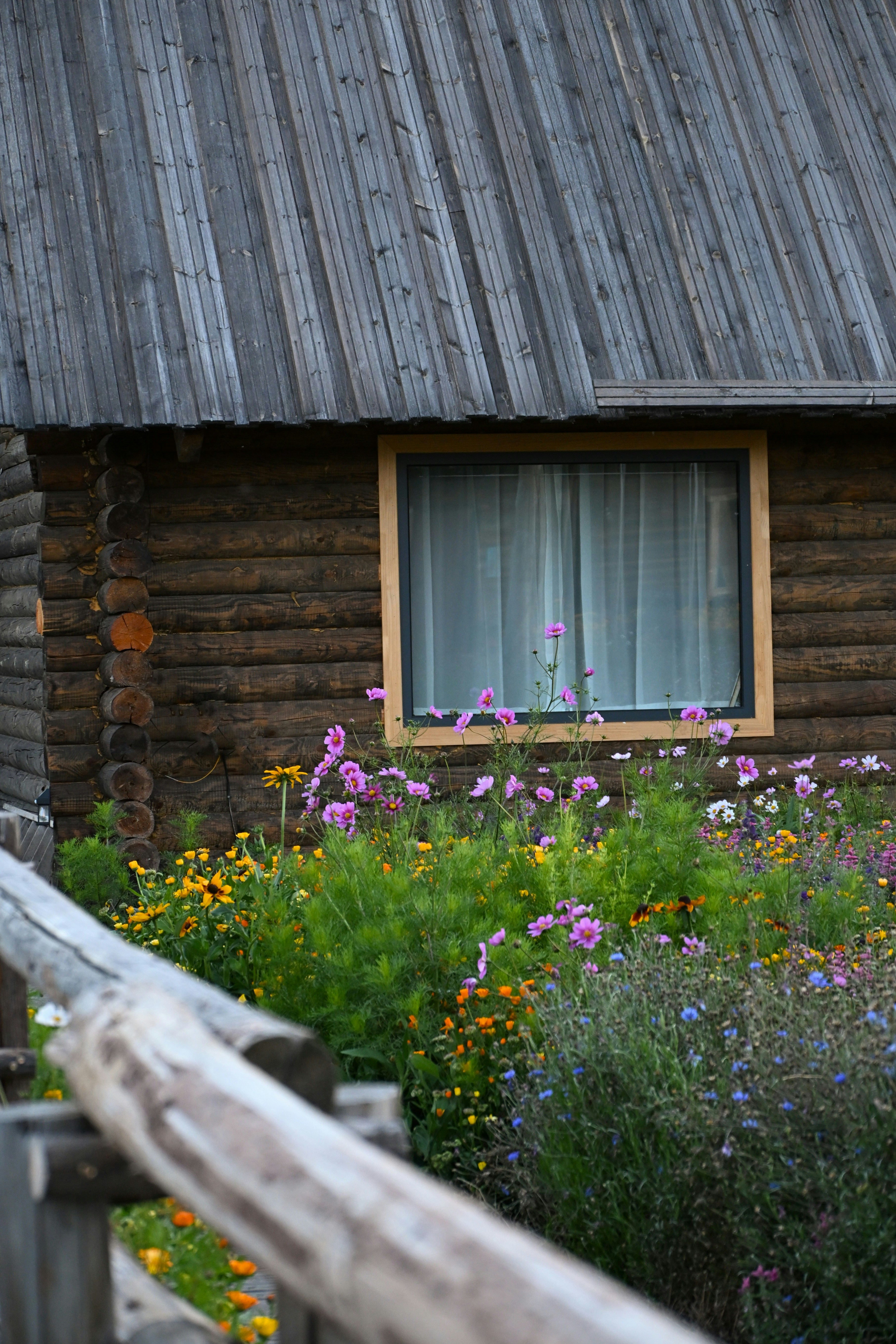 Floral Window frame: cottage garden in bloom