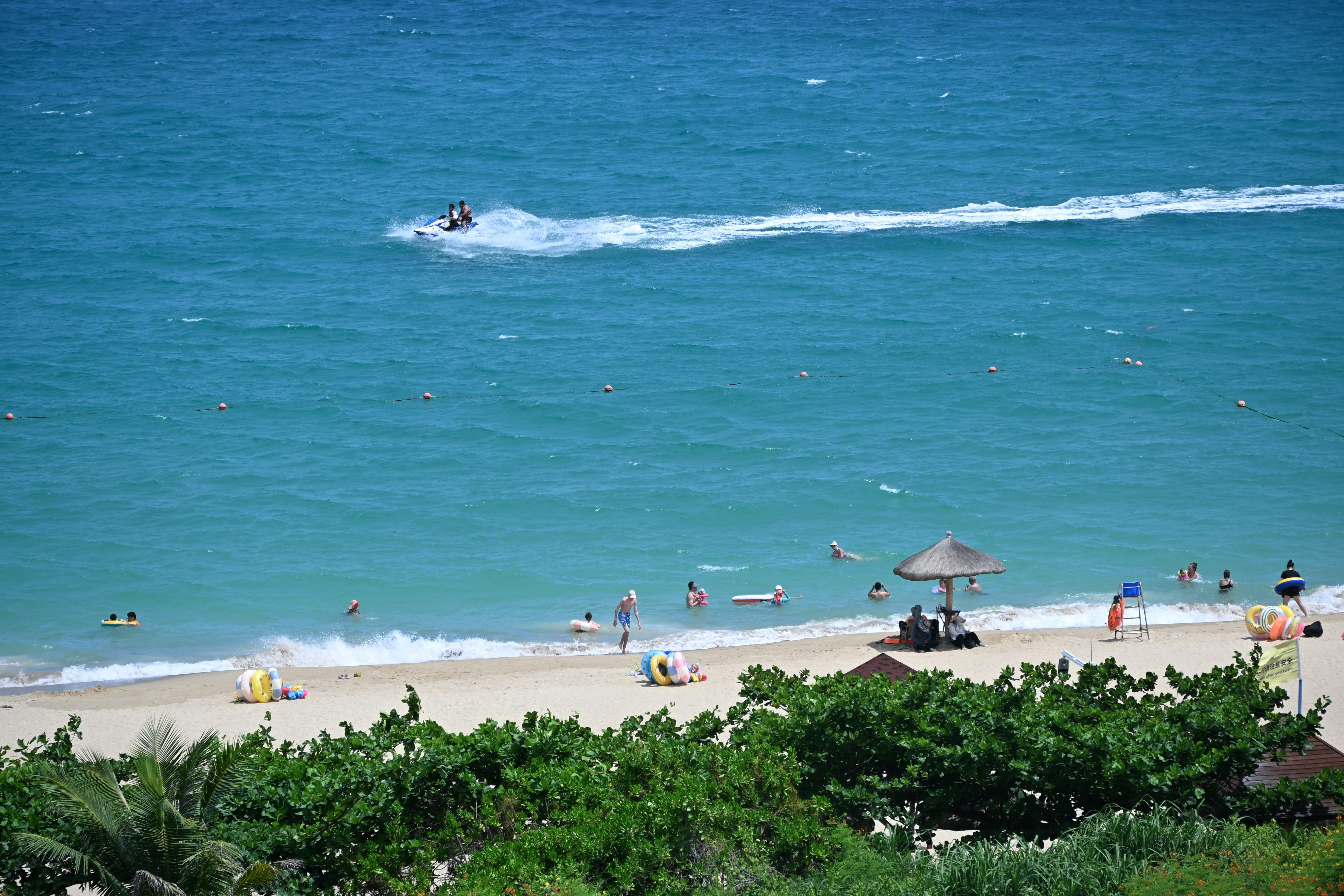 Surf and Sand: A Quiet Beach Day Framed by Greenery