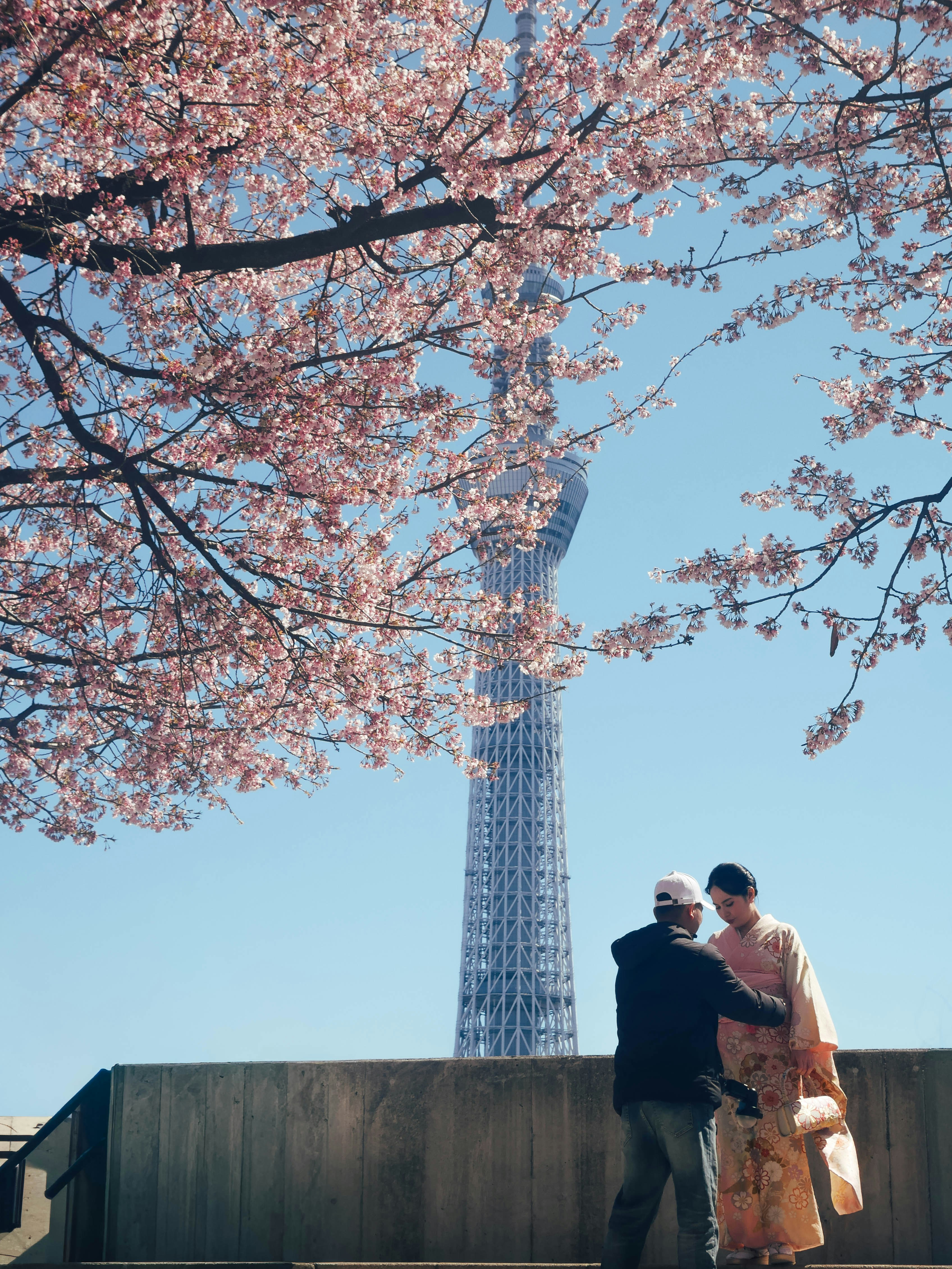 Blossoms and Skyline: A Moment Beneath Tokyo’s Tower