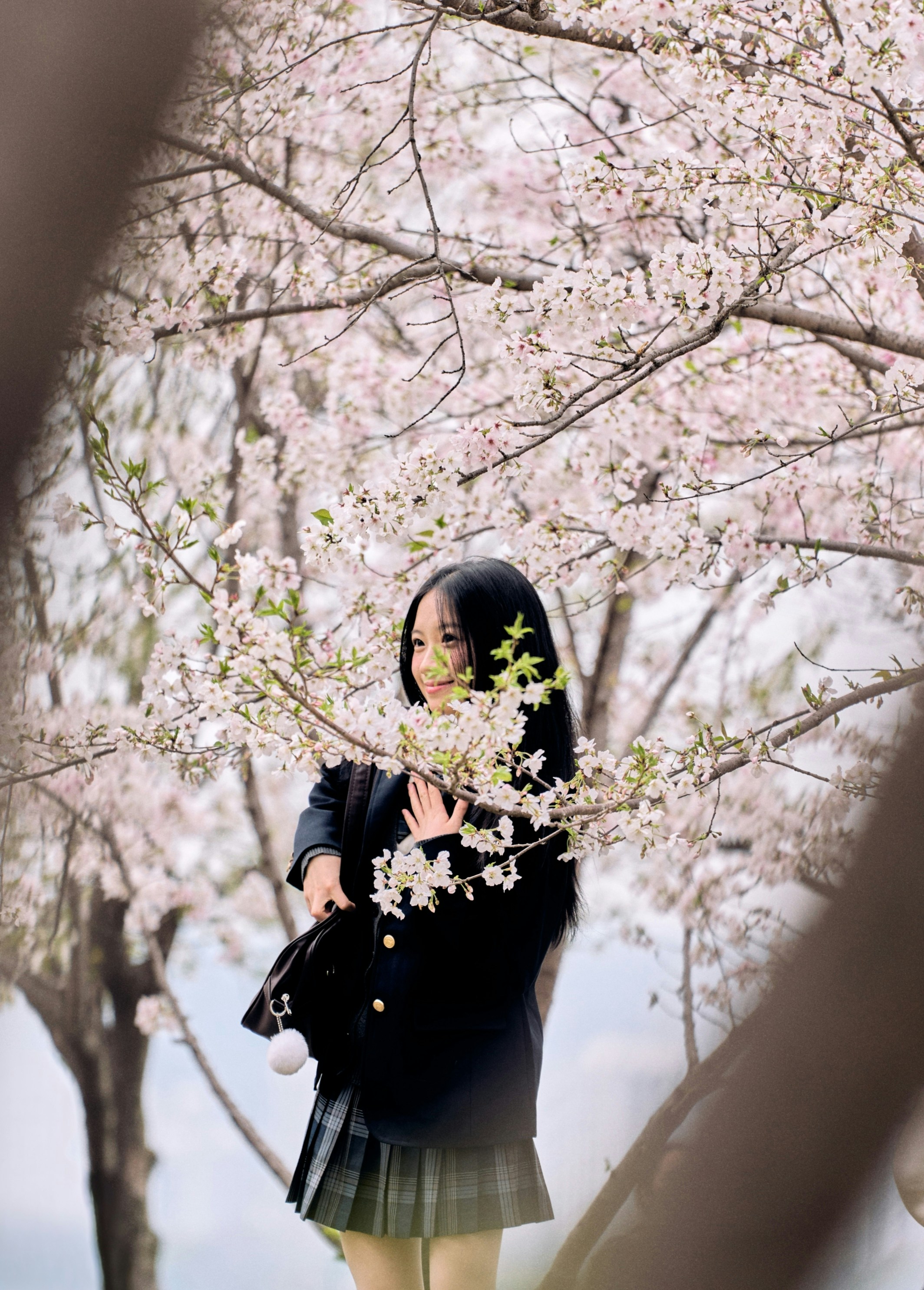 Blossoms Surround a Quiet Portrait