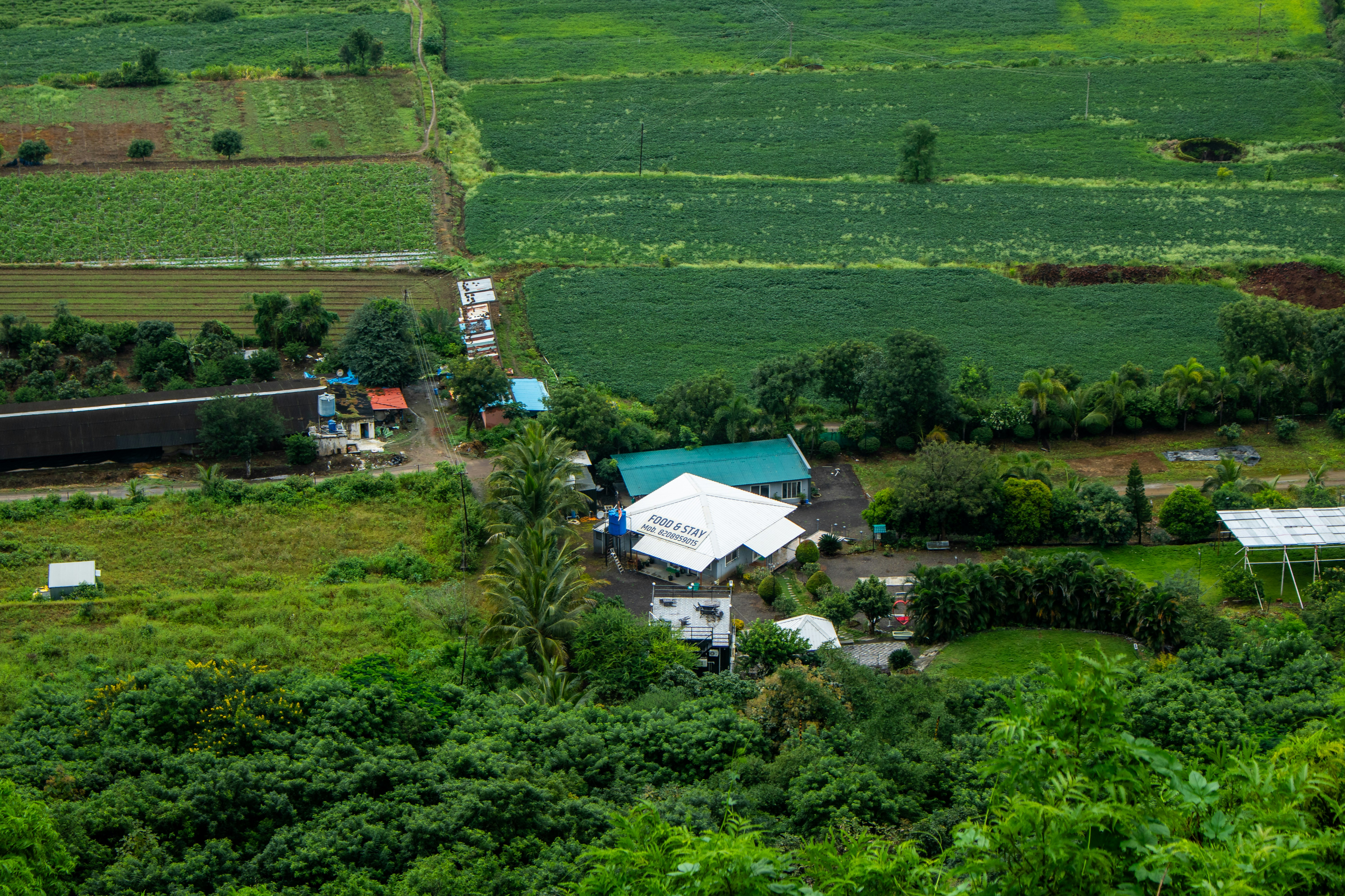 Green tapestry of terraces and a sheltered courtyard