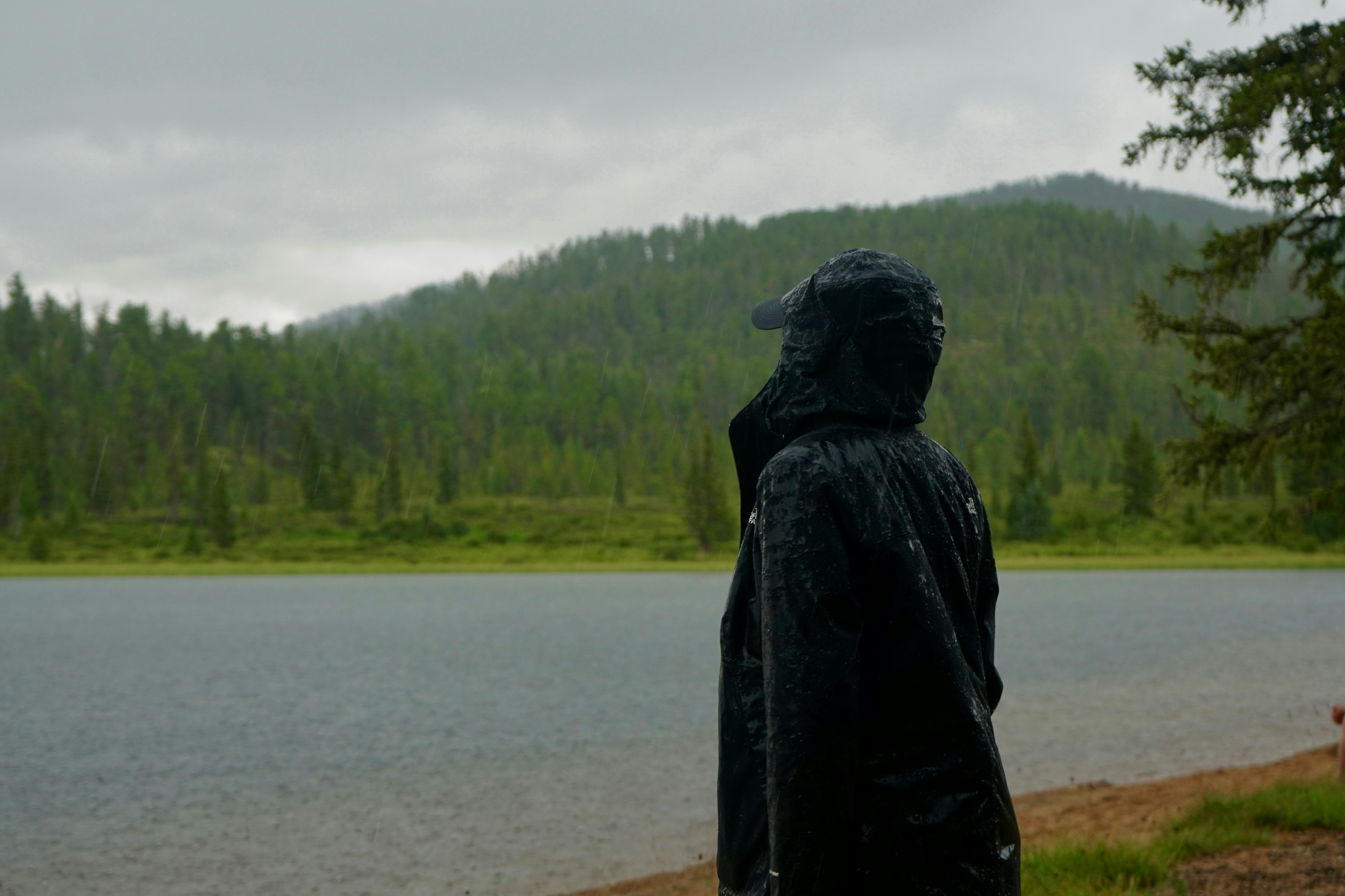 Silhouette by the Lake: A Raincoat Watcher Against Green Hills